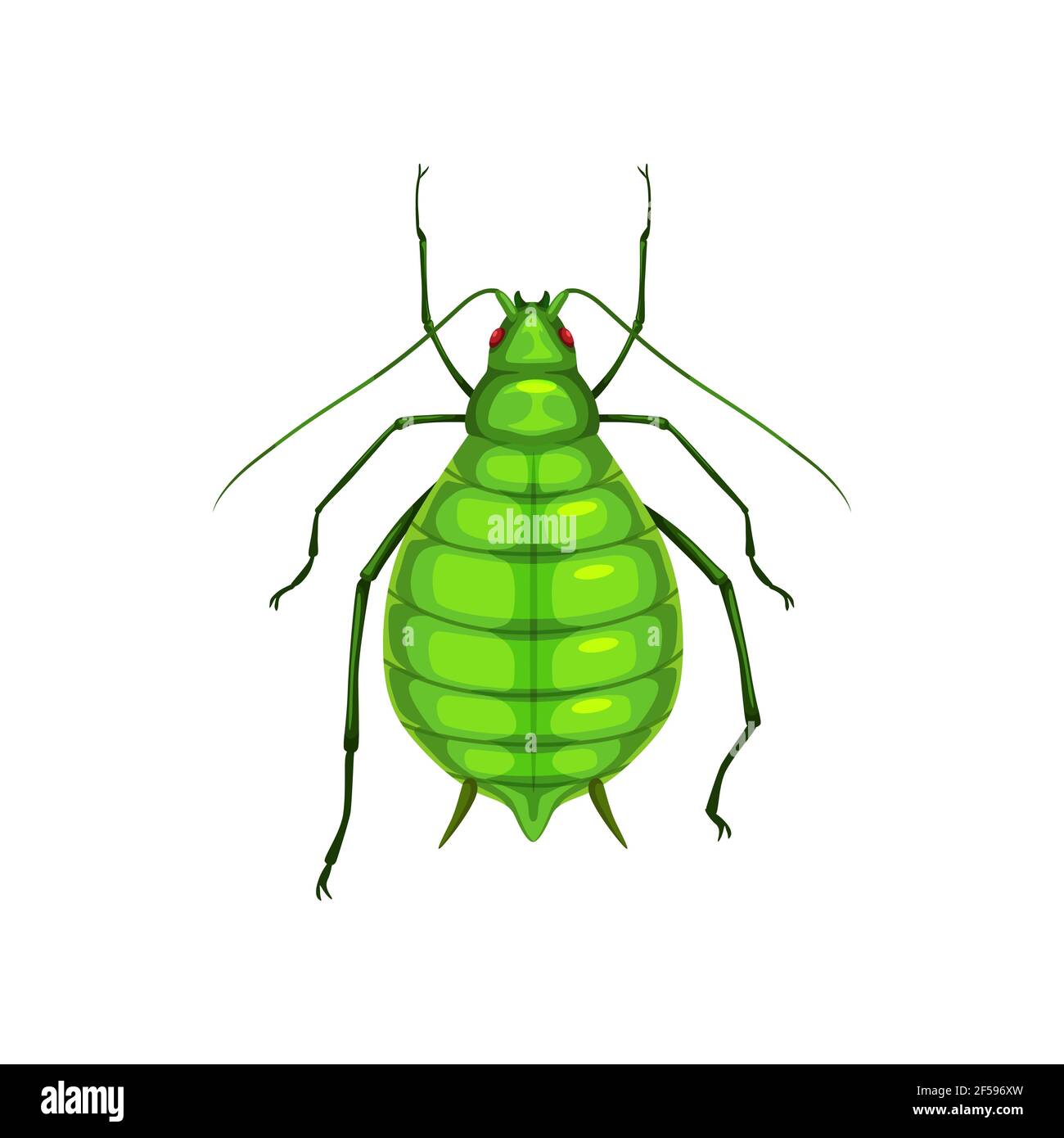 Pest control disinsection service Stock Vector Images - Alamy