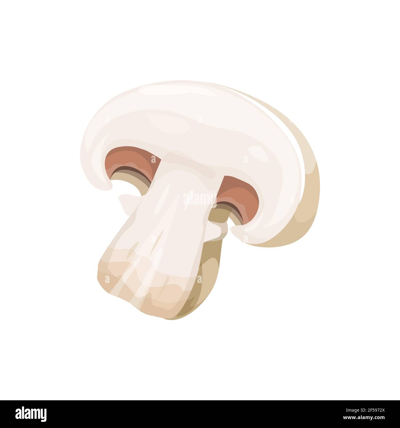 Edible fungi closeup Stock Vector Images - Alamy