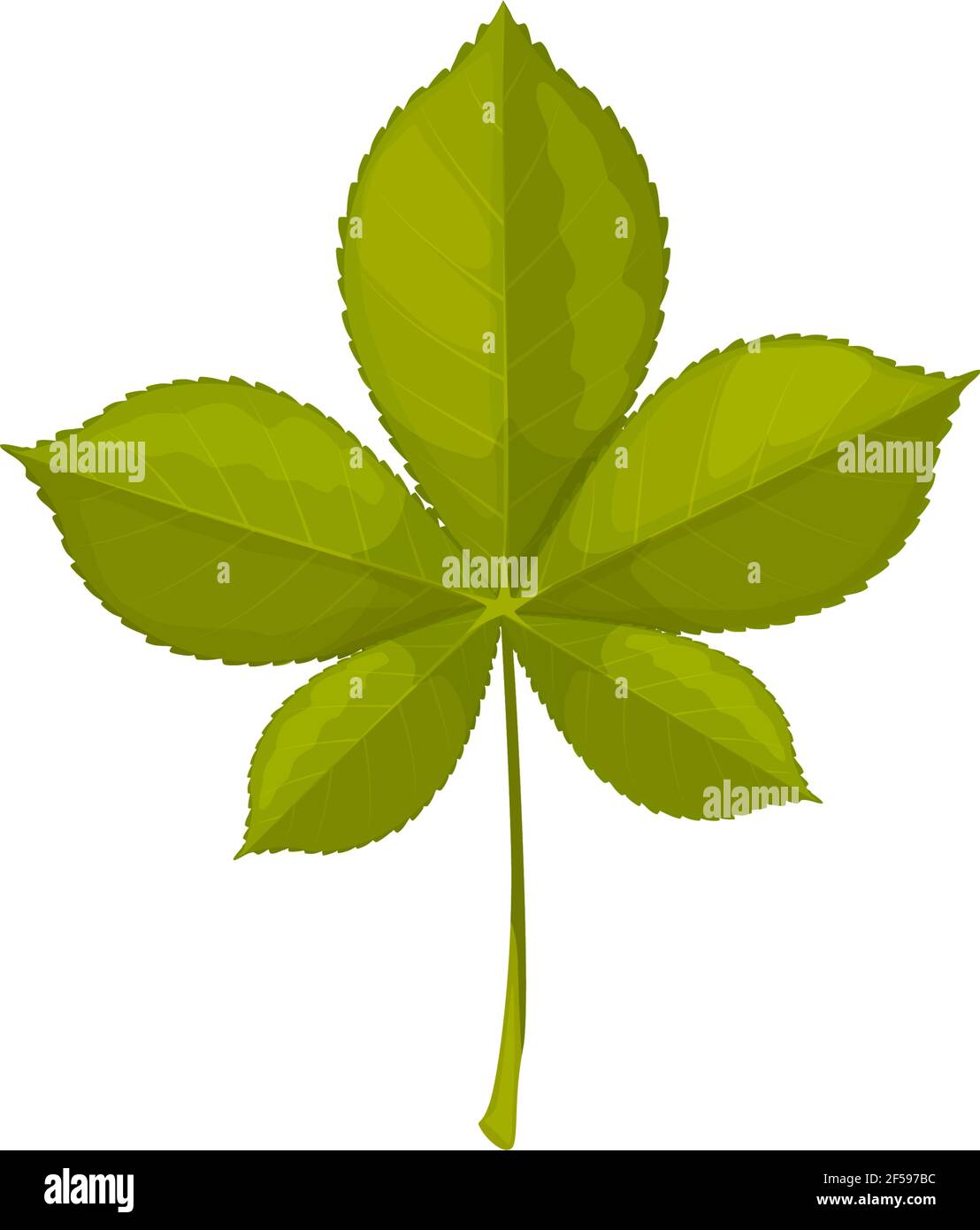 Chestnut leaf vector icon, cartoon tree foliage Stock Vector Image ...
