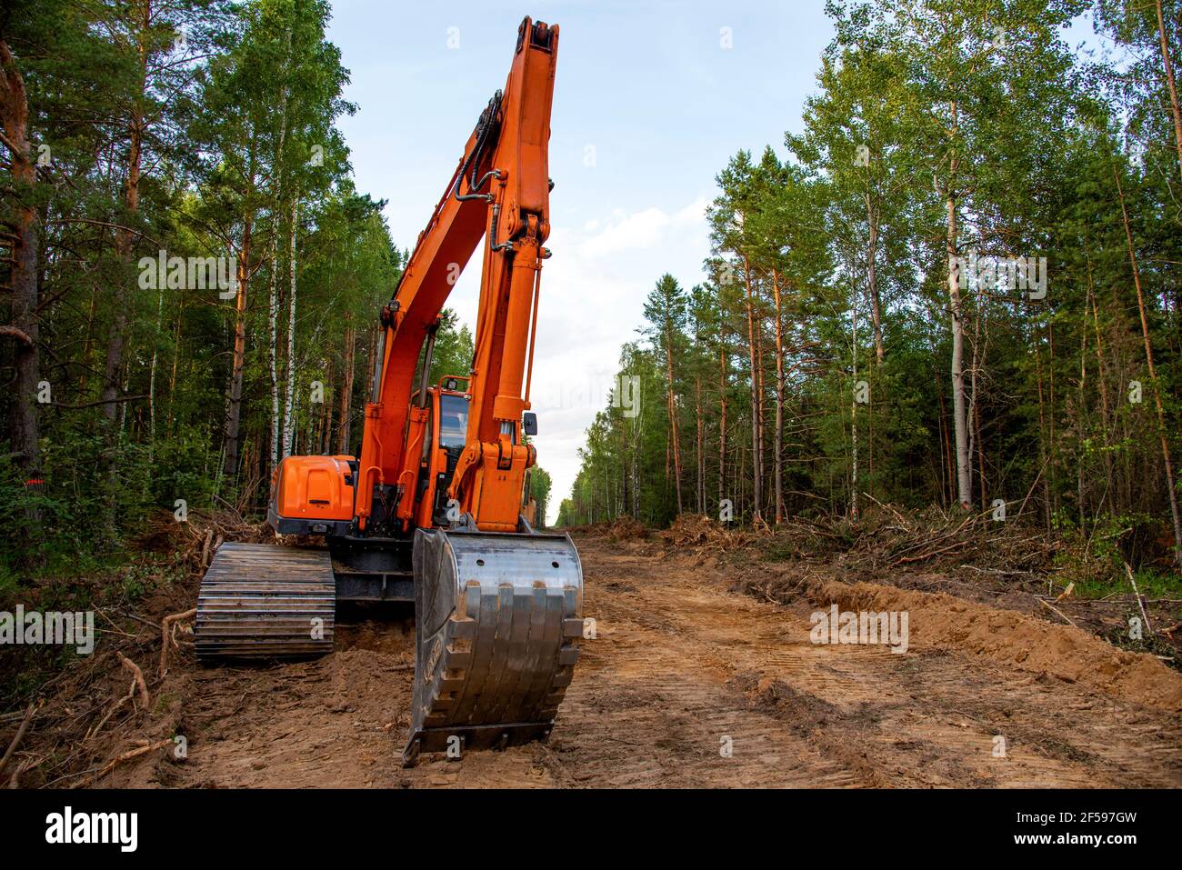 Excavator clearing forest for new development. Orange Backhoe modified ...