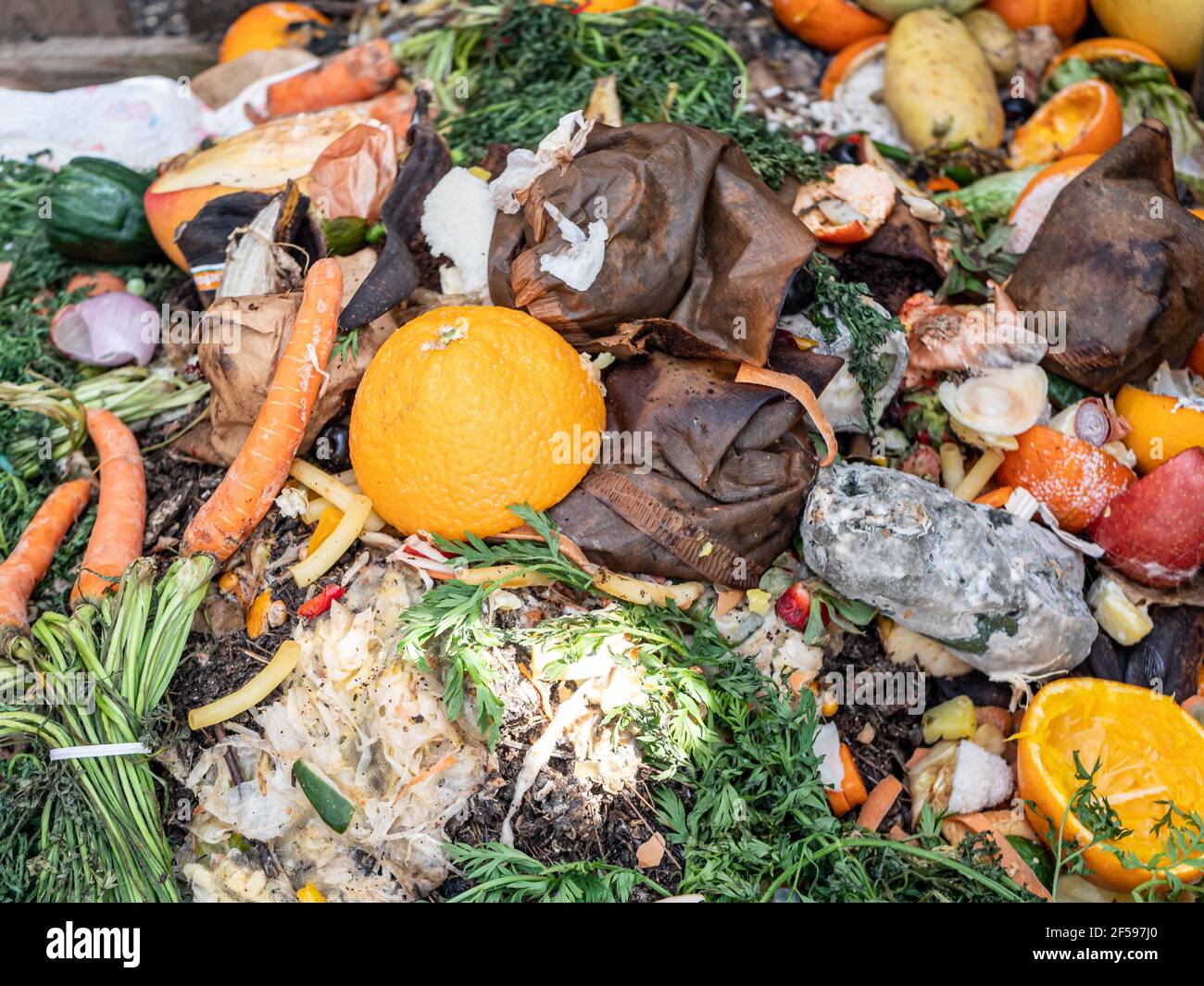 Organic waste on a composter in the garden Stock Photo - Alamy