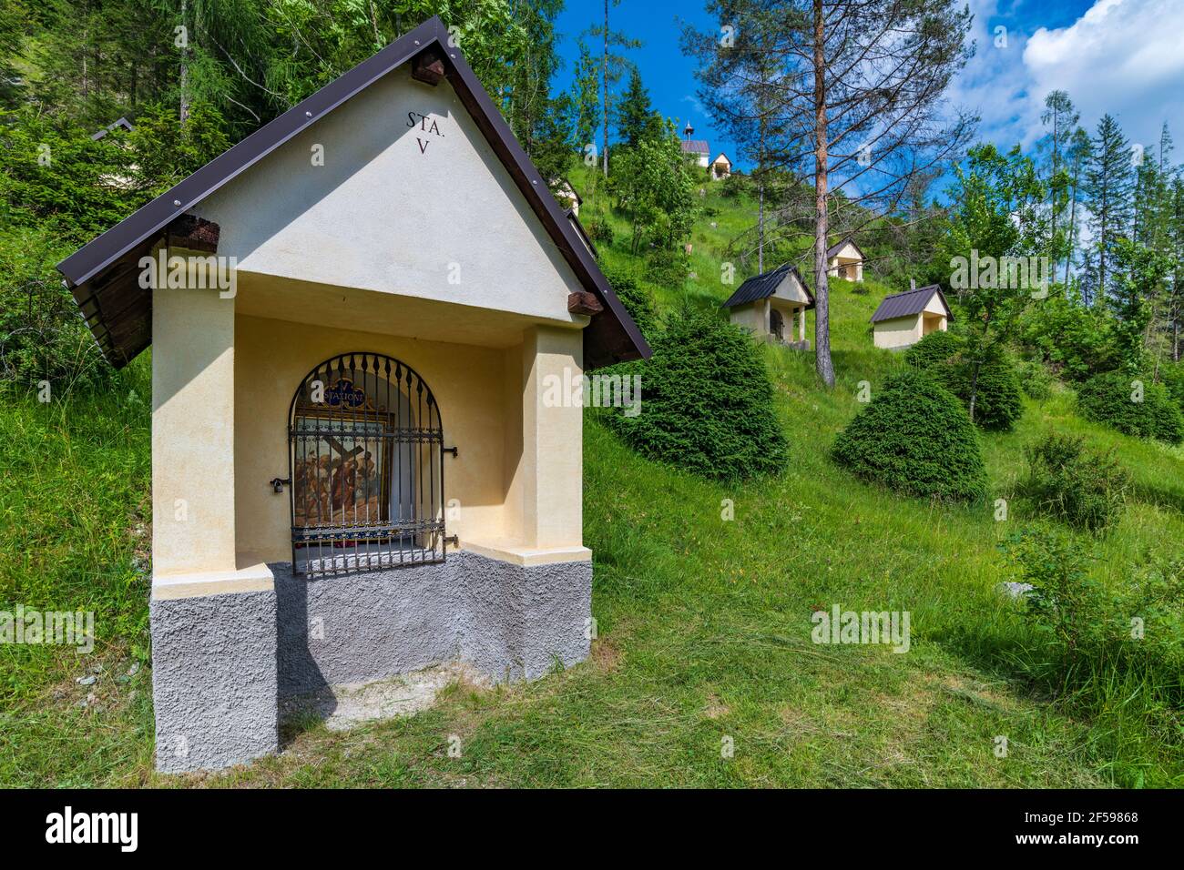 Summer glimpses along the paths of Sappada. Friuli. Dolomites Stock ...