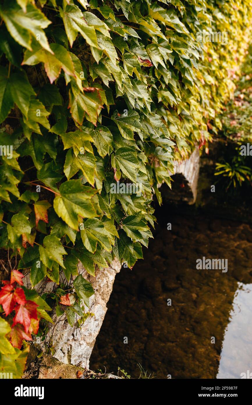 Building arch hi-res stock photography and images - Alamy