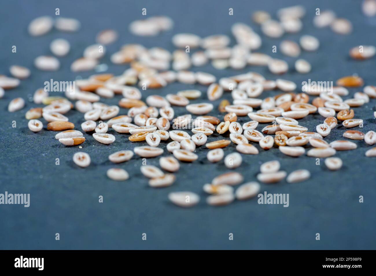 Indian flea seeds hi-res stock photography and images - Alamy