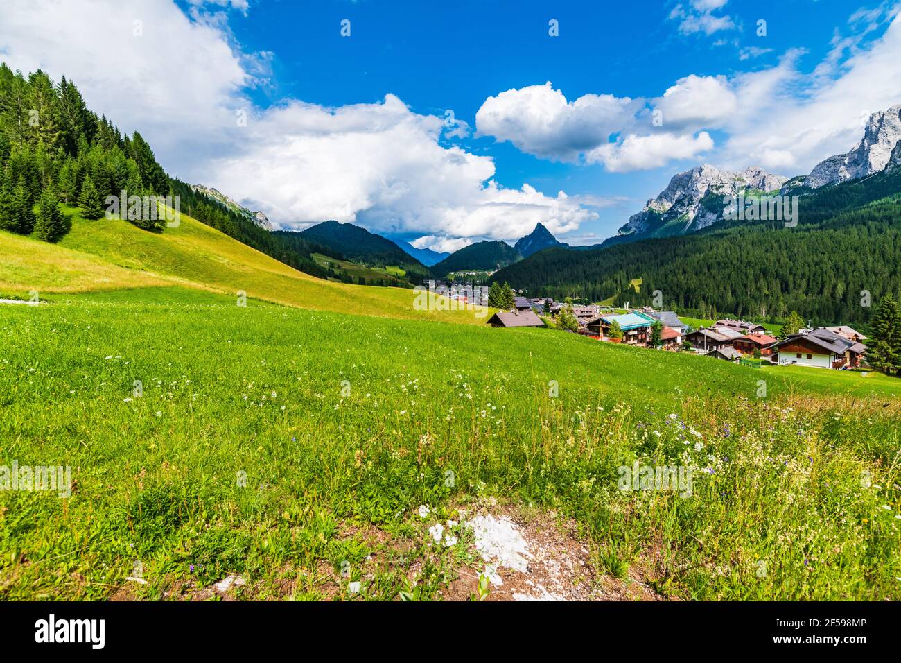 Summer glimpses along the paths of Sappada. Friuli. Dolomites Stock ...