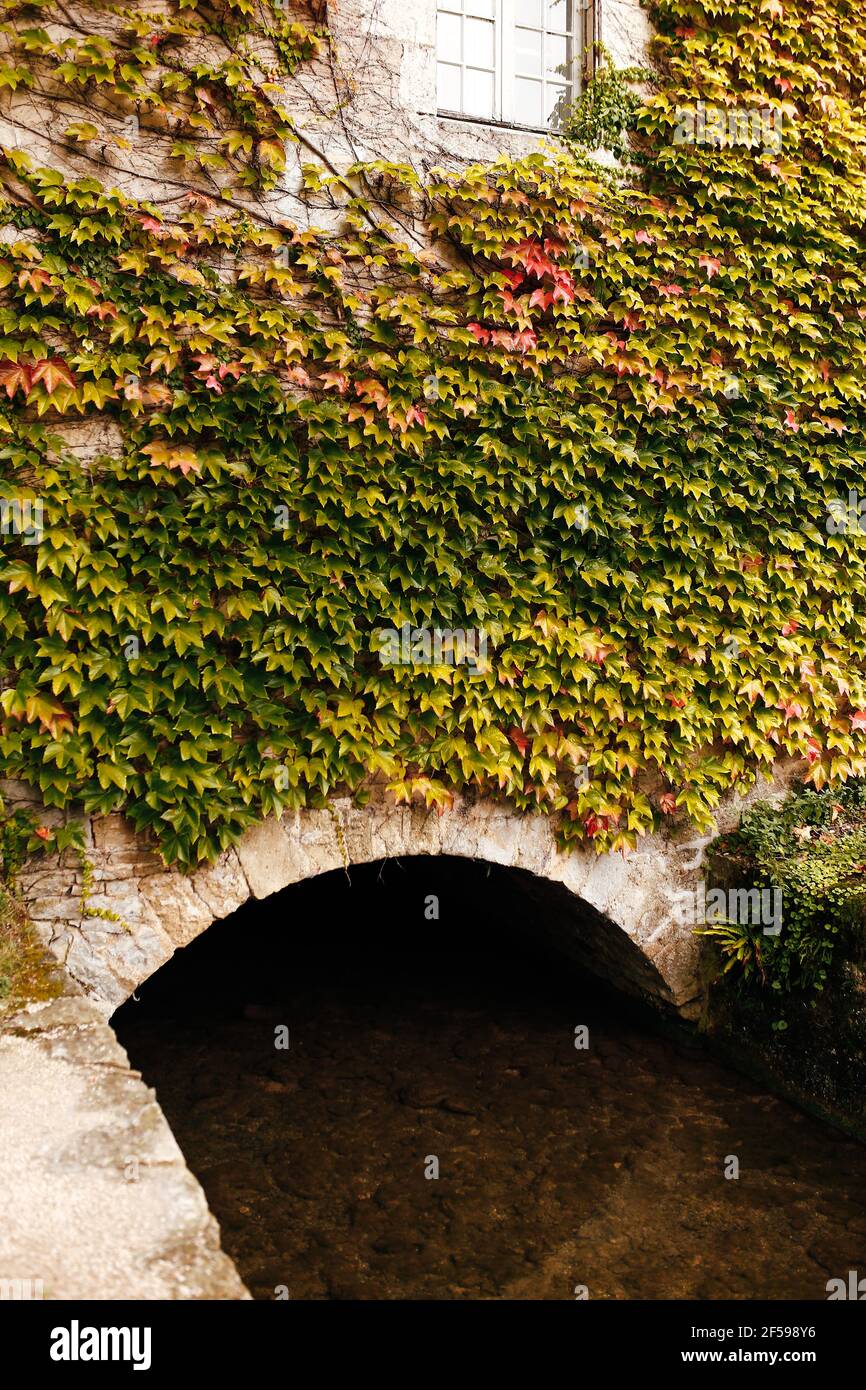 Red ivy building facade hi-res stock photography and images - Alamy