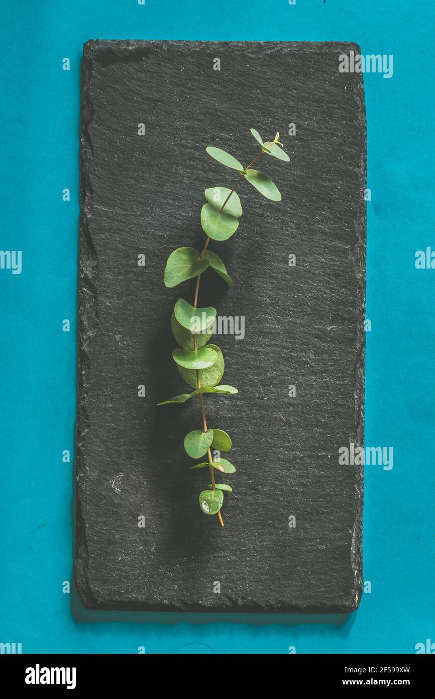 Black shale hi-res stock photography and images - Alamy