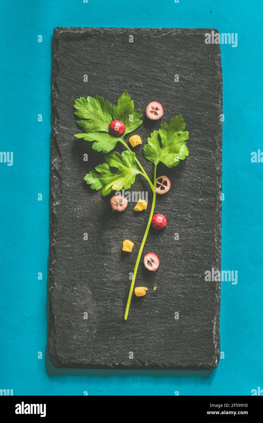 colorful plant on black shale background Stock Photo - Alamy