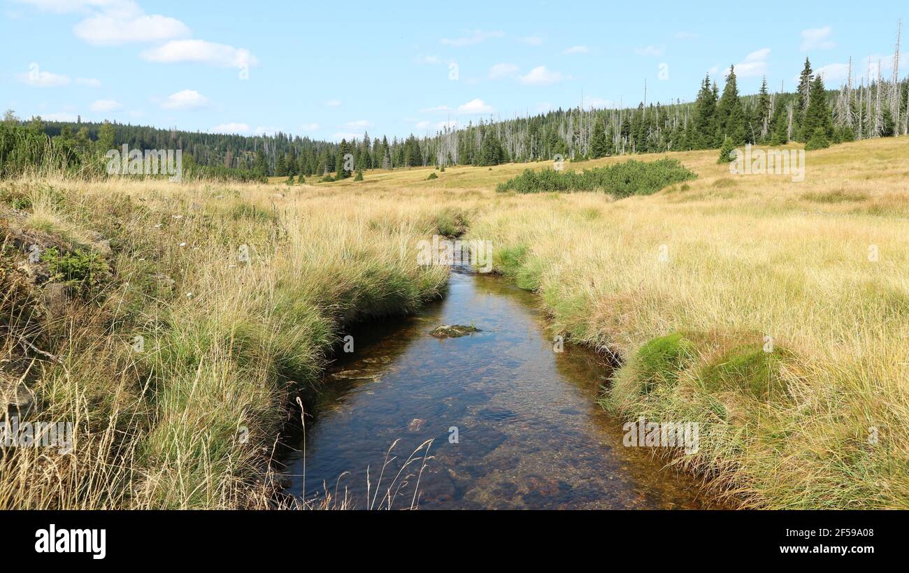 Beautiful clean stream with view to the valley Stock Photo - Alamy