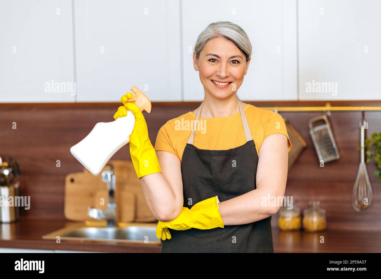 Mature cleaning lady hi-res stock photography and images - Alamy