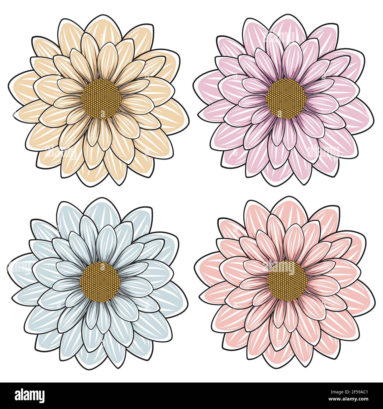 Vector illustration with flowers. Isolated objects on a white ...