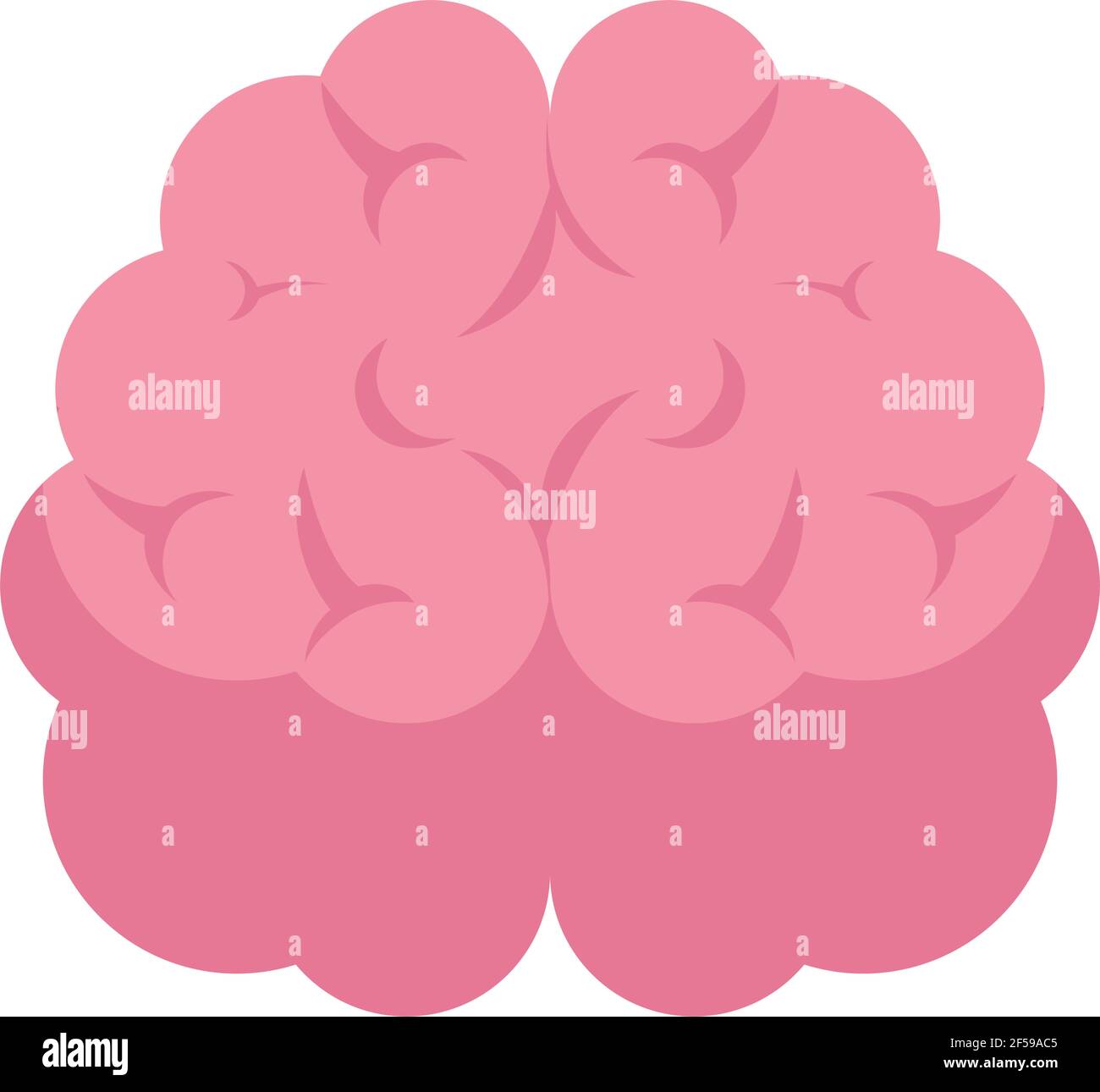 brain organ human isolated icon Stock Vector Image & Art - Alamy