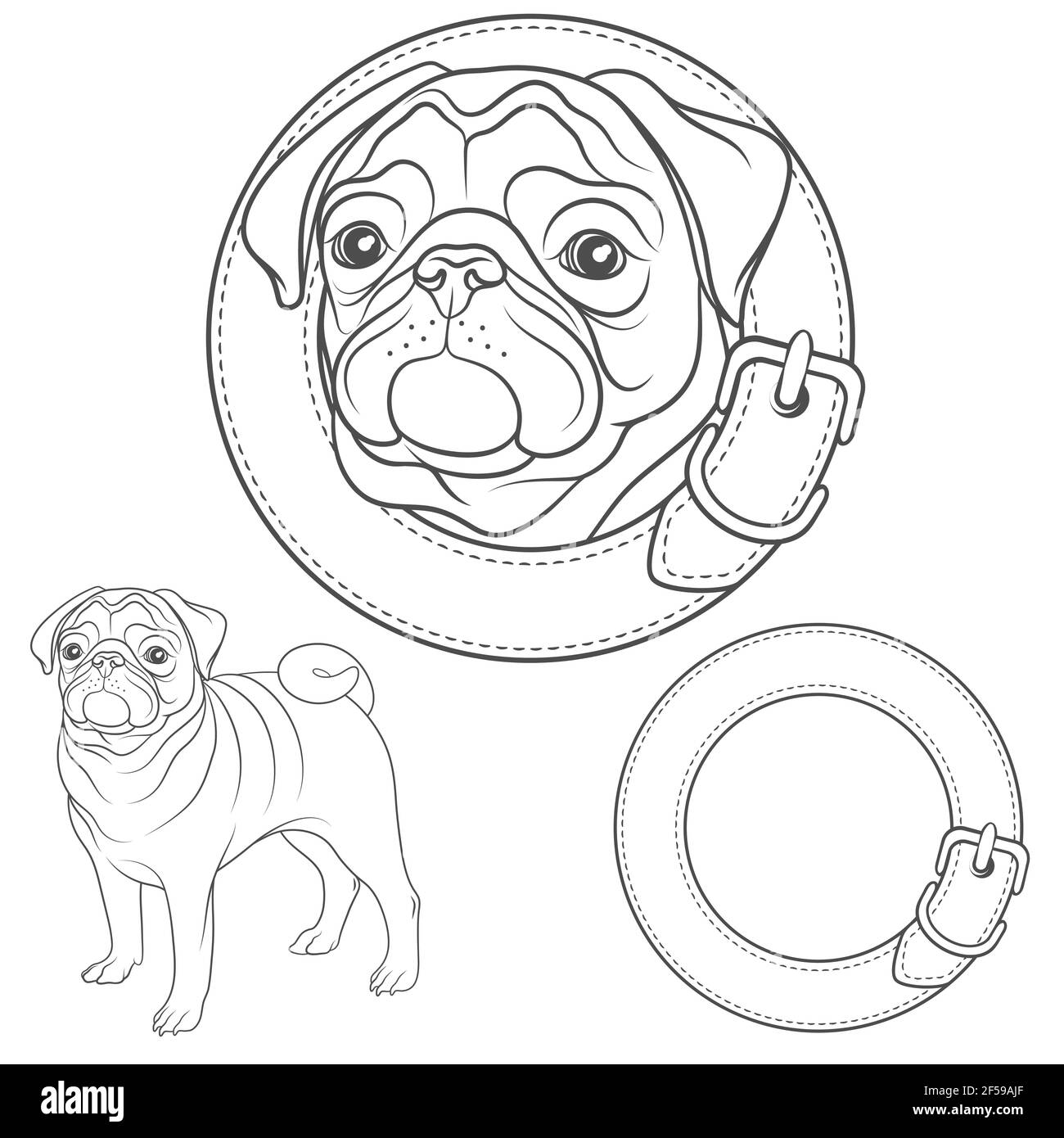 Animal print collar Black and White Stock Photos & Images - Alamy