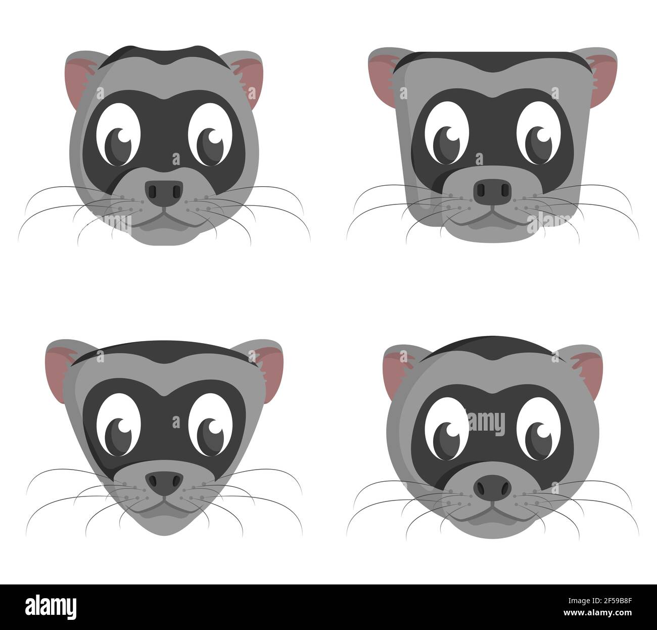 Ferret face Stock Vector Images - Alamy