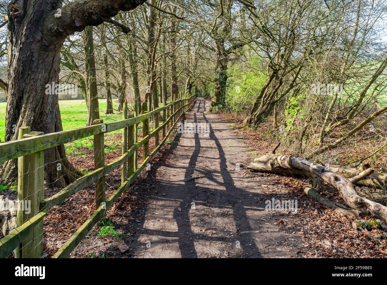 A path leading to Moat Mount Open Space in Mill Hill, London UK Stock ...