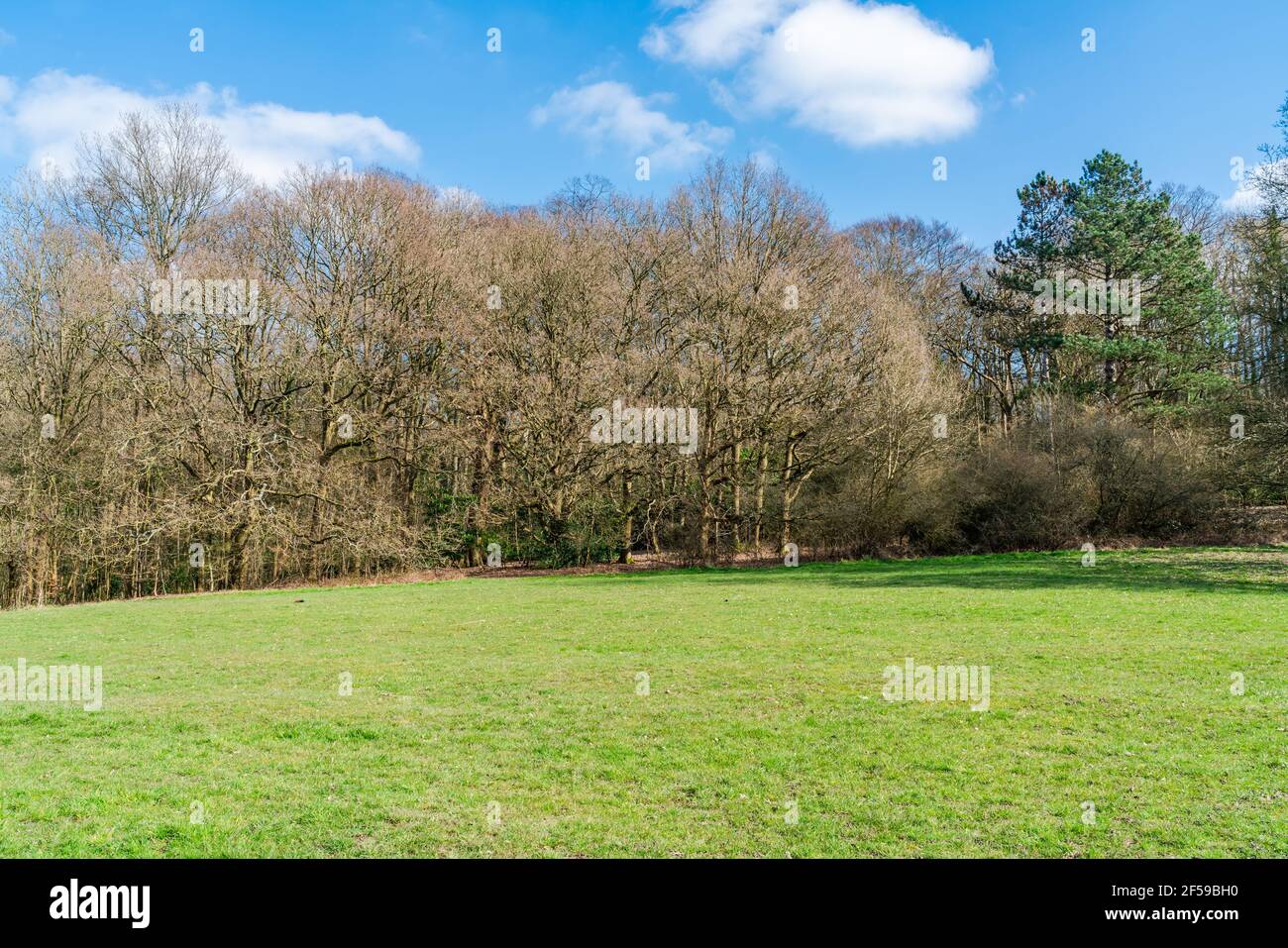Moat Mount Open Space in Mill Hill, London UK Stock Photo - Alamy