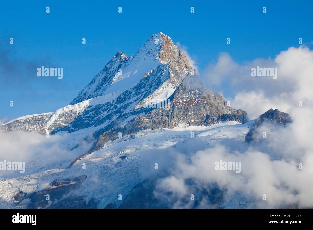 geography / travel, Switzerland, Schreckhorn (peak), 4078 m, Bern ...