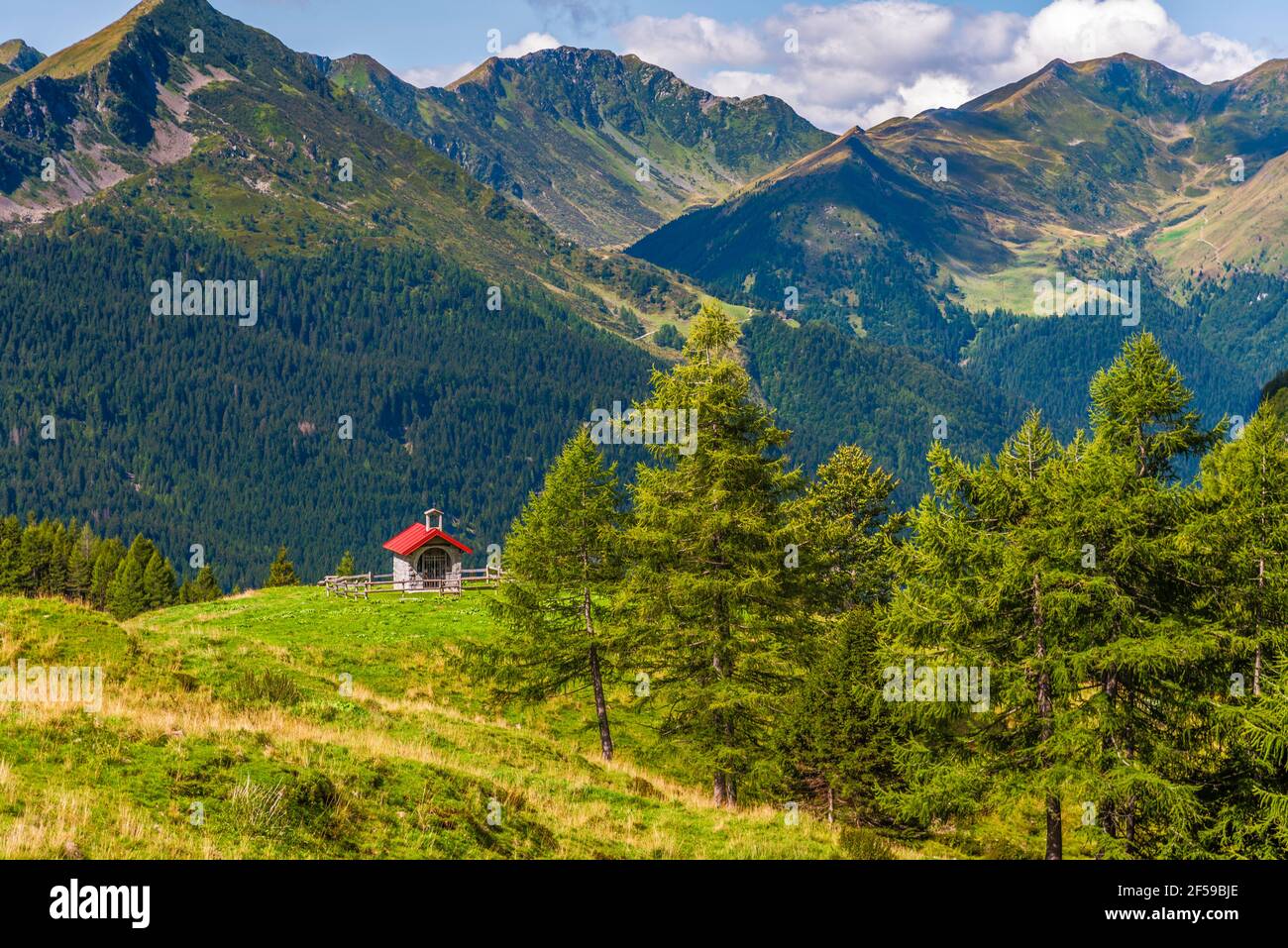 Alpine huts, meadows, lakes and woods of the Friulian mountains Stock ...
