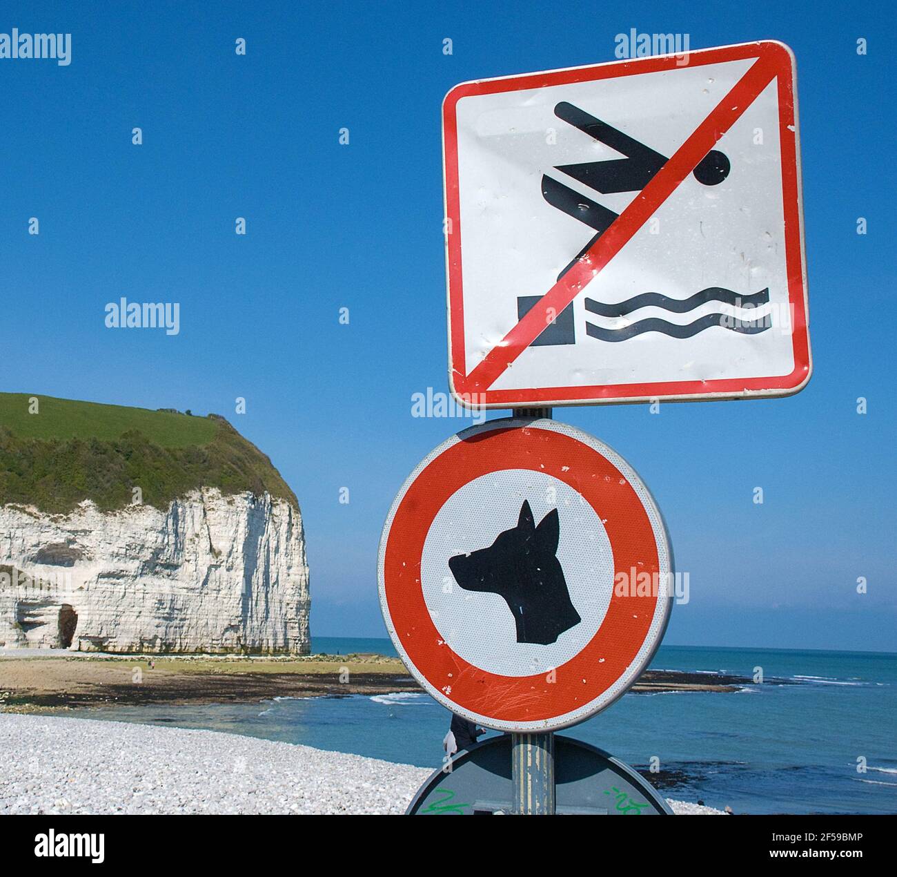 Bathing prohibited, dogs prohibited sign on the beach at Yport ...