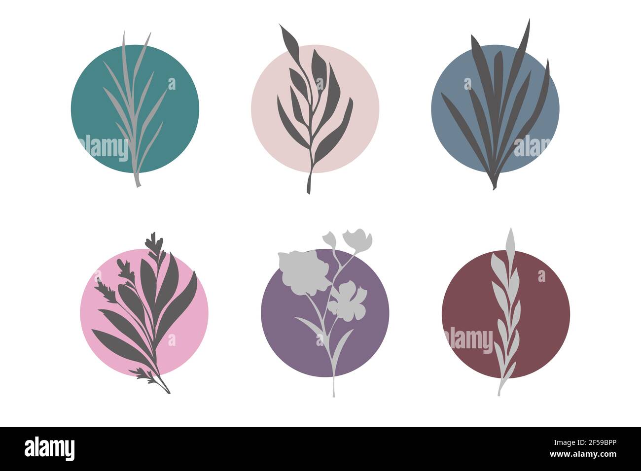 Flower silhouette on round shape set. Plants Isolated on white ...