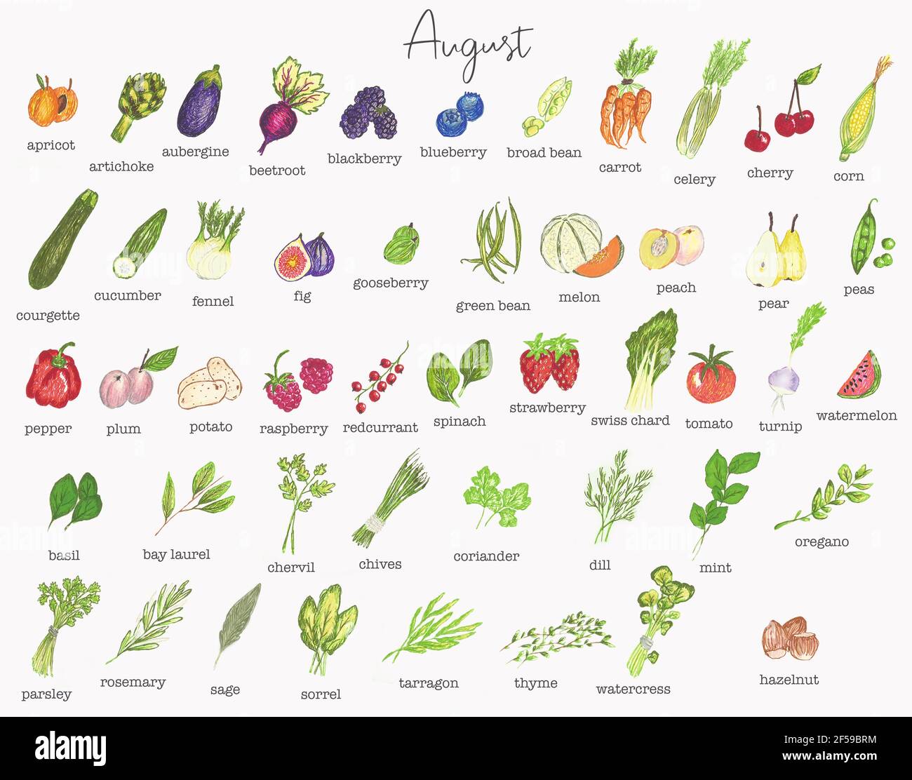 August fruit and vegetables seasonal calendar Stock Photo - Alamy
