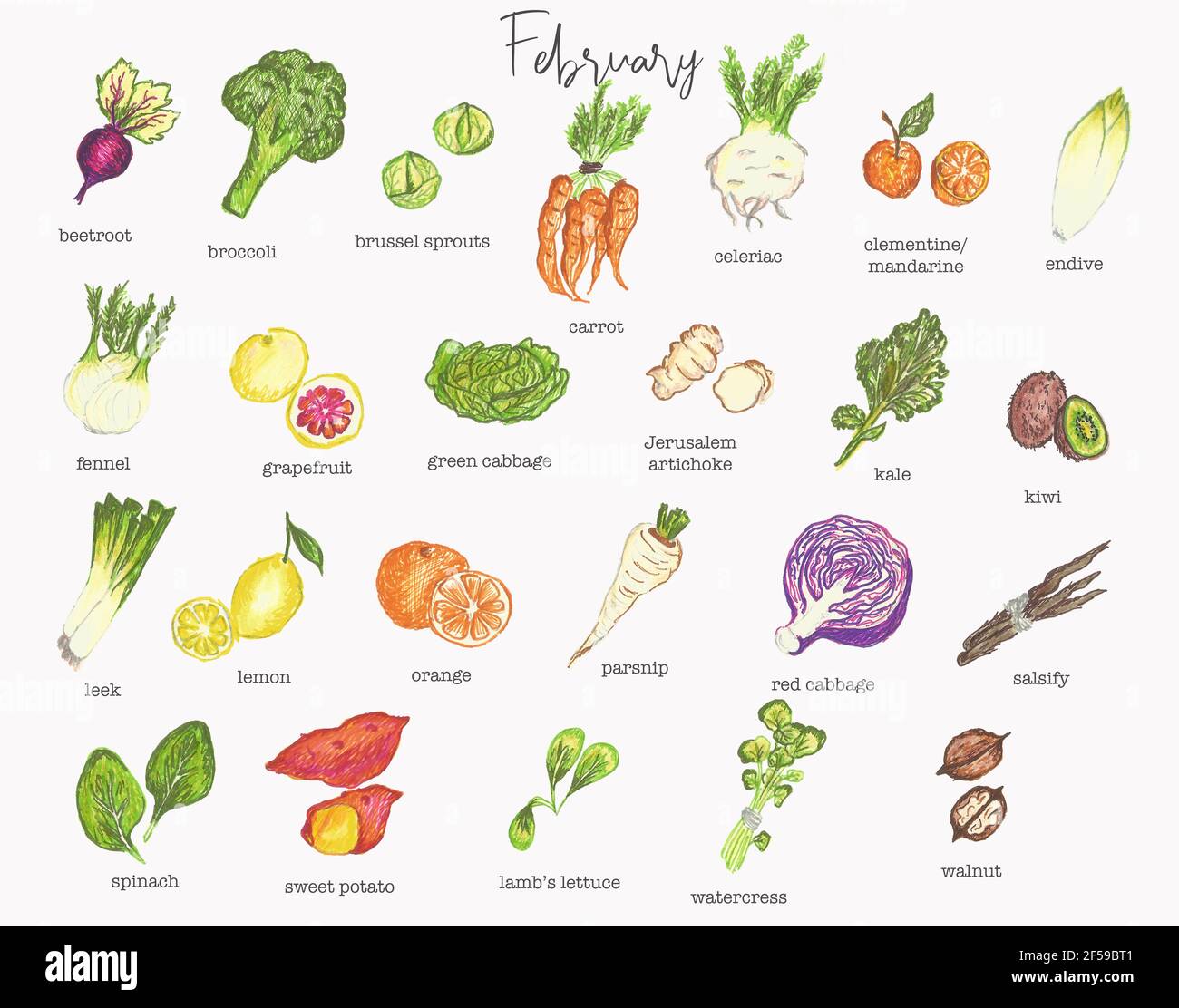 February fruit and vegetables seasonal calendar Stock Photo - Alamy