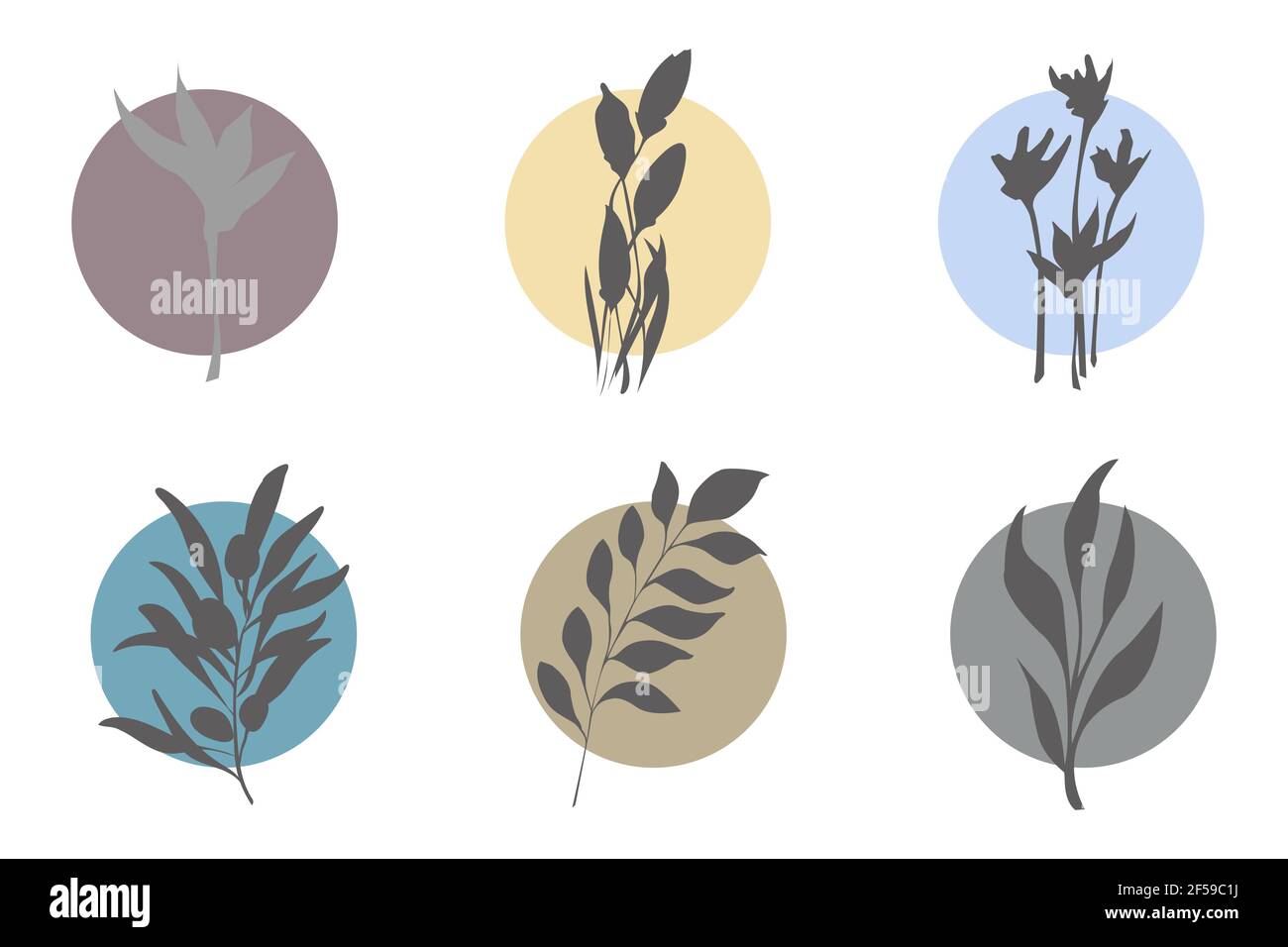 Flower silhouette on round shape set. Plants Isolated on white ...