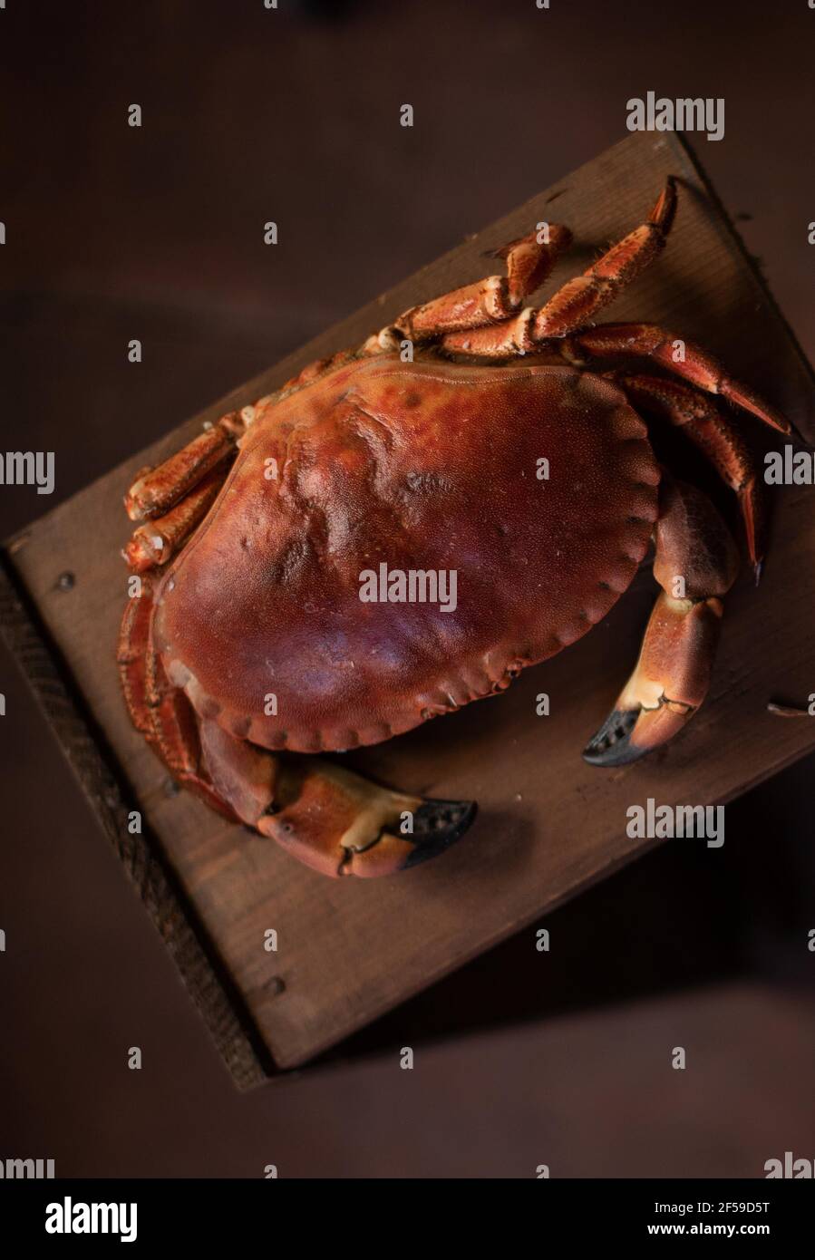 Pomegrain hi-res stock photography and images - Alamy