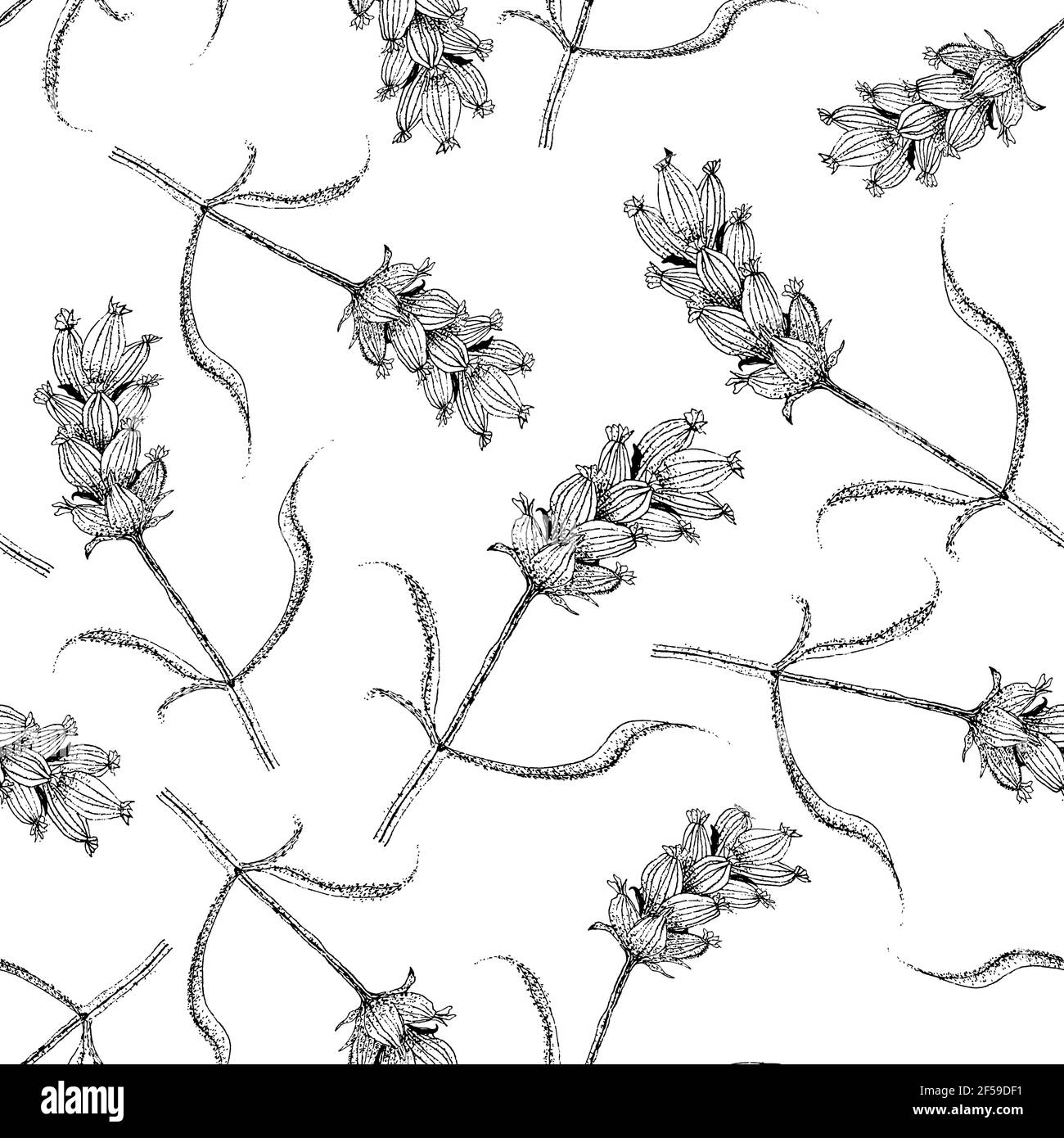 Lavender line art seamless vector pattern background. Monochrome black ...