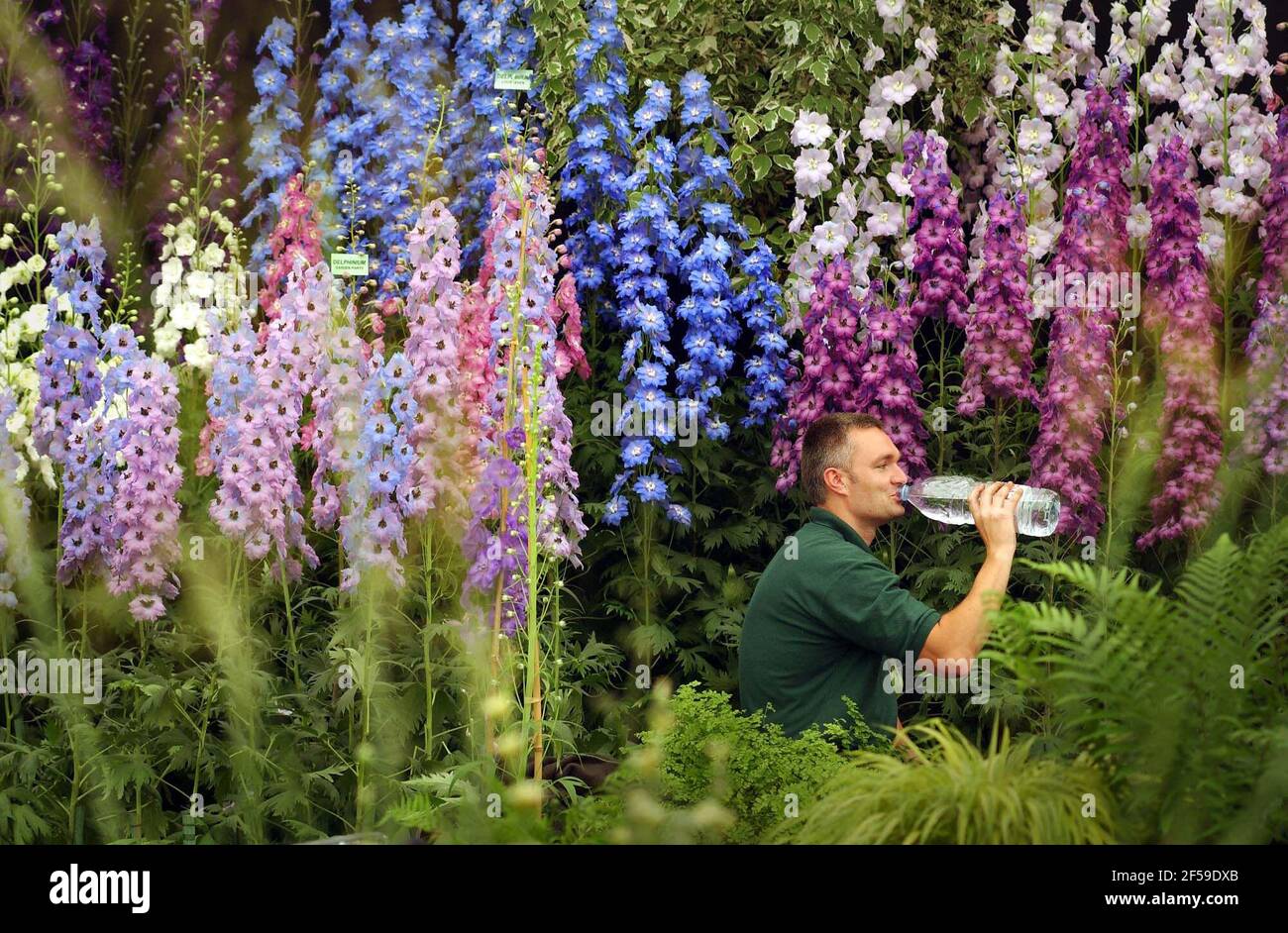 Chelsea flower show exhibition hi-res stock photography and images - Alamy
