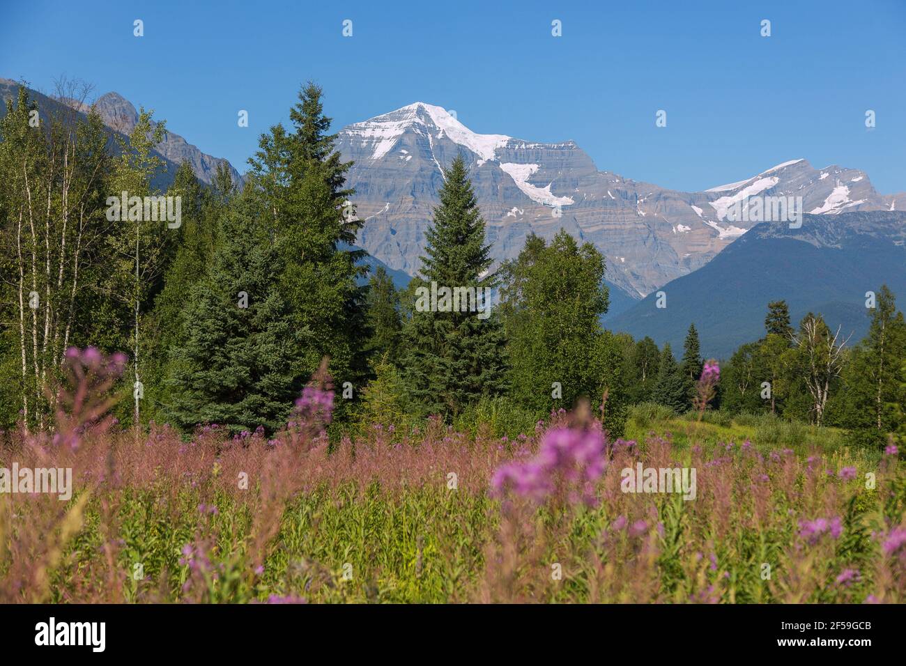 Mount robson provincial park hi-res stock photography and images - Alamy