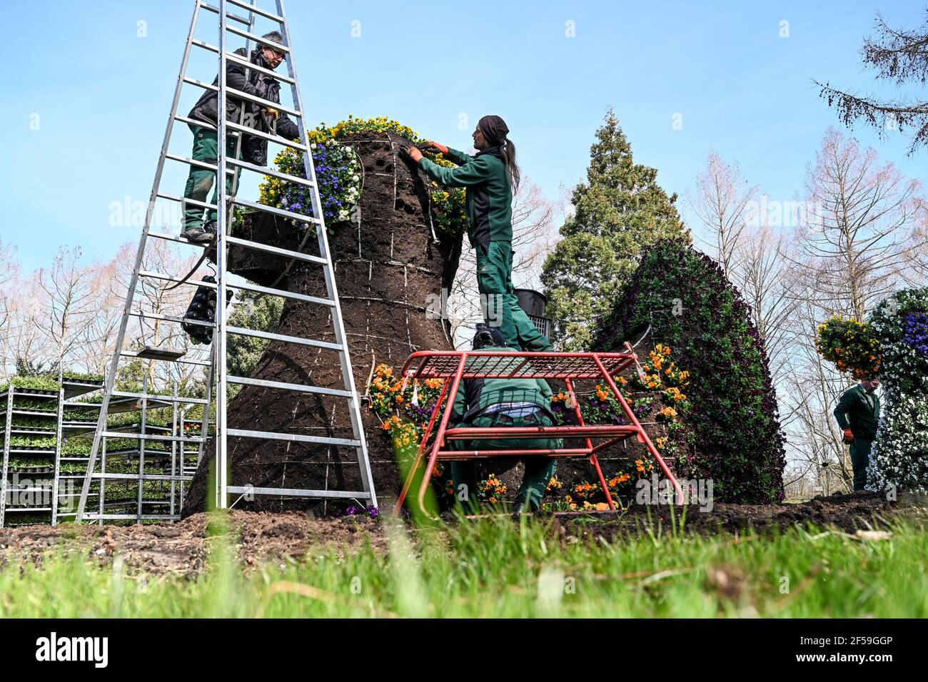 Insel Mainau, Germany. 25th Mar, 2021. Several gardeners plant flowers ...