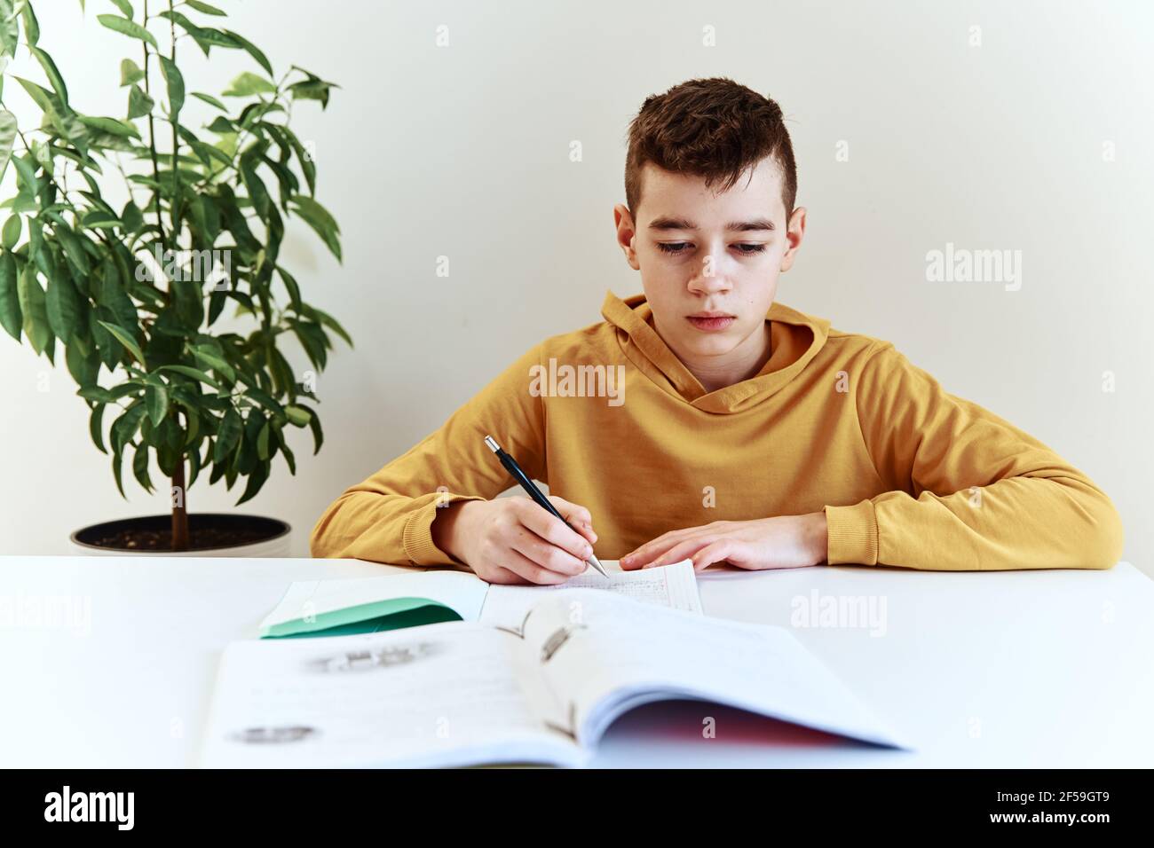 Teenage boy writing homework at home. Education concept Stock Photo - Alamy