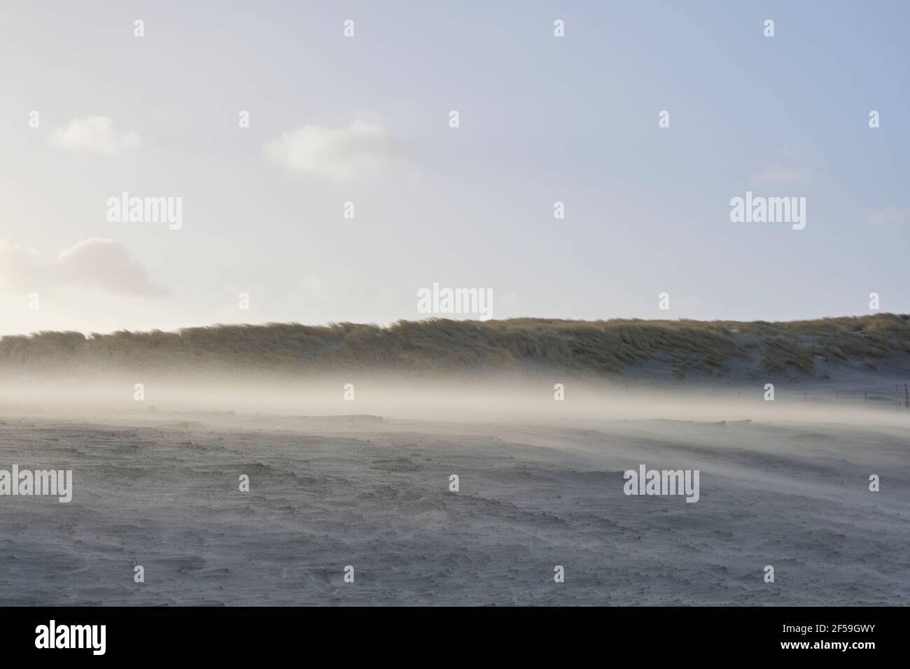 Rondvliegend zand tijdens storm op het strand. | Sand flying around ...