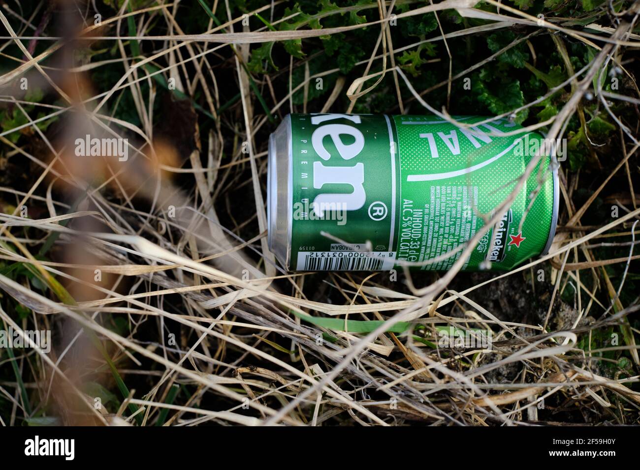 Litter in nature Stock Photo - Alamy