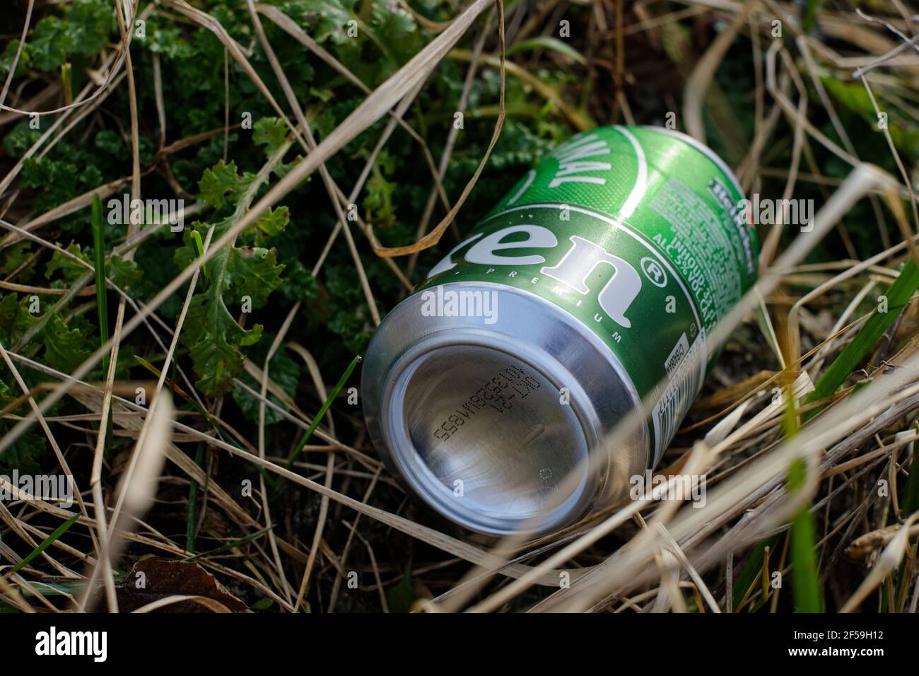 Litter in nature Stock Photo - Alamy