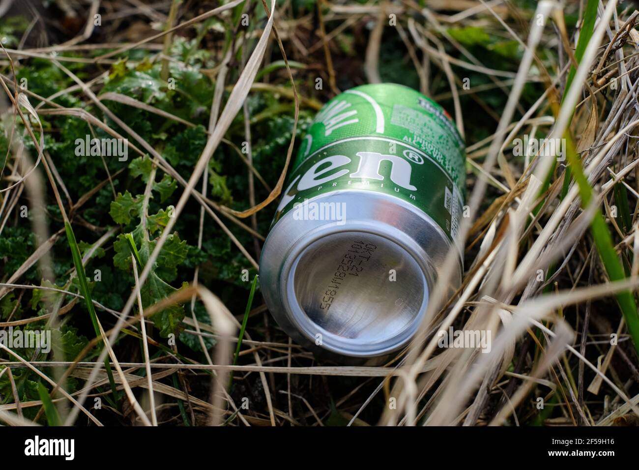 Litter in nature Stock Photo - Alamy