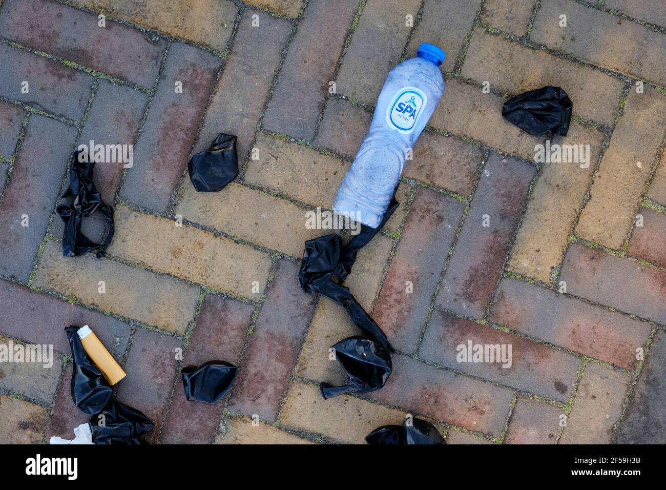 Litter in nature hi-res stock photography and images - Alamy