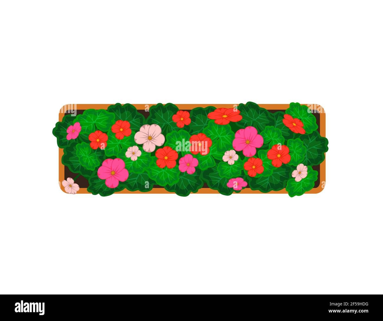 Blooming begonia in garden pot isolated on white background. Cartoon ...