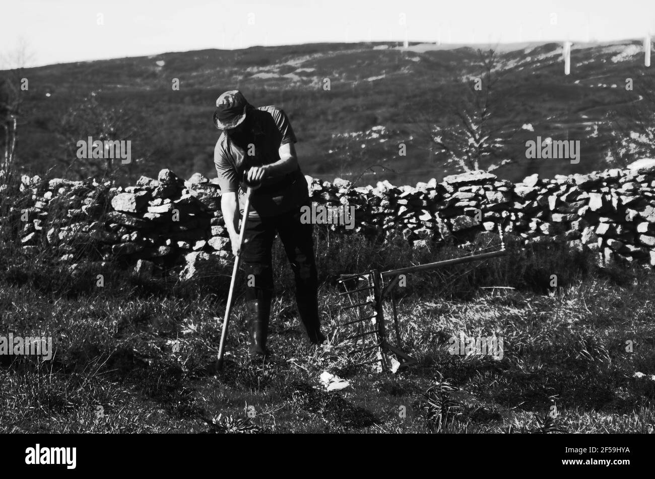 el campesino : trabajando la tierra con la fuerza de sus brazos.... y ...