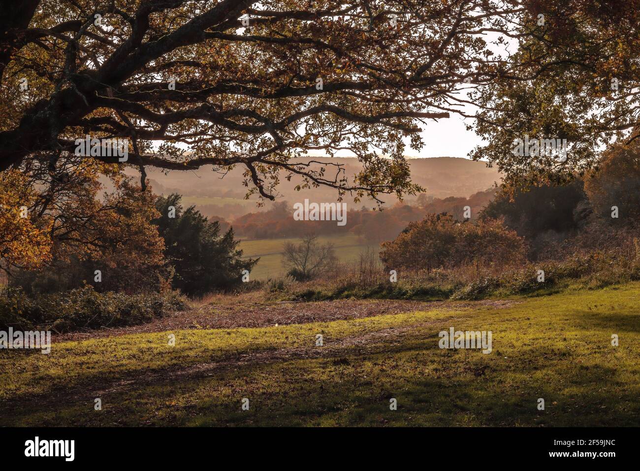 Autumn in Surrey Hills Stock Photo - Alamy