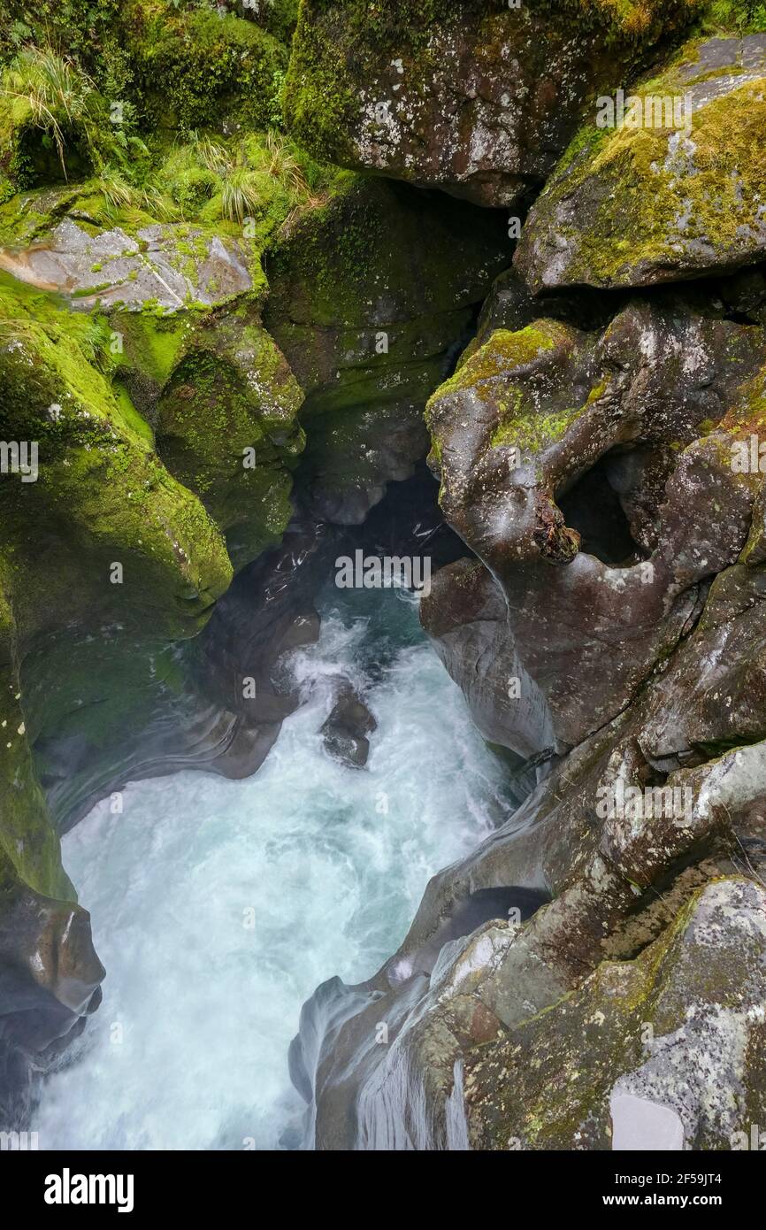 Natural scenery around the Chasm Falls at Cleddau River at the South ...