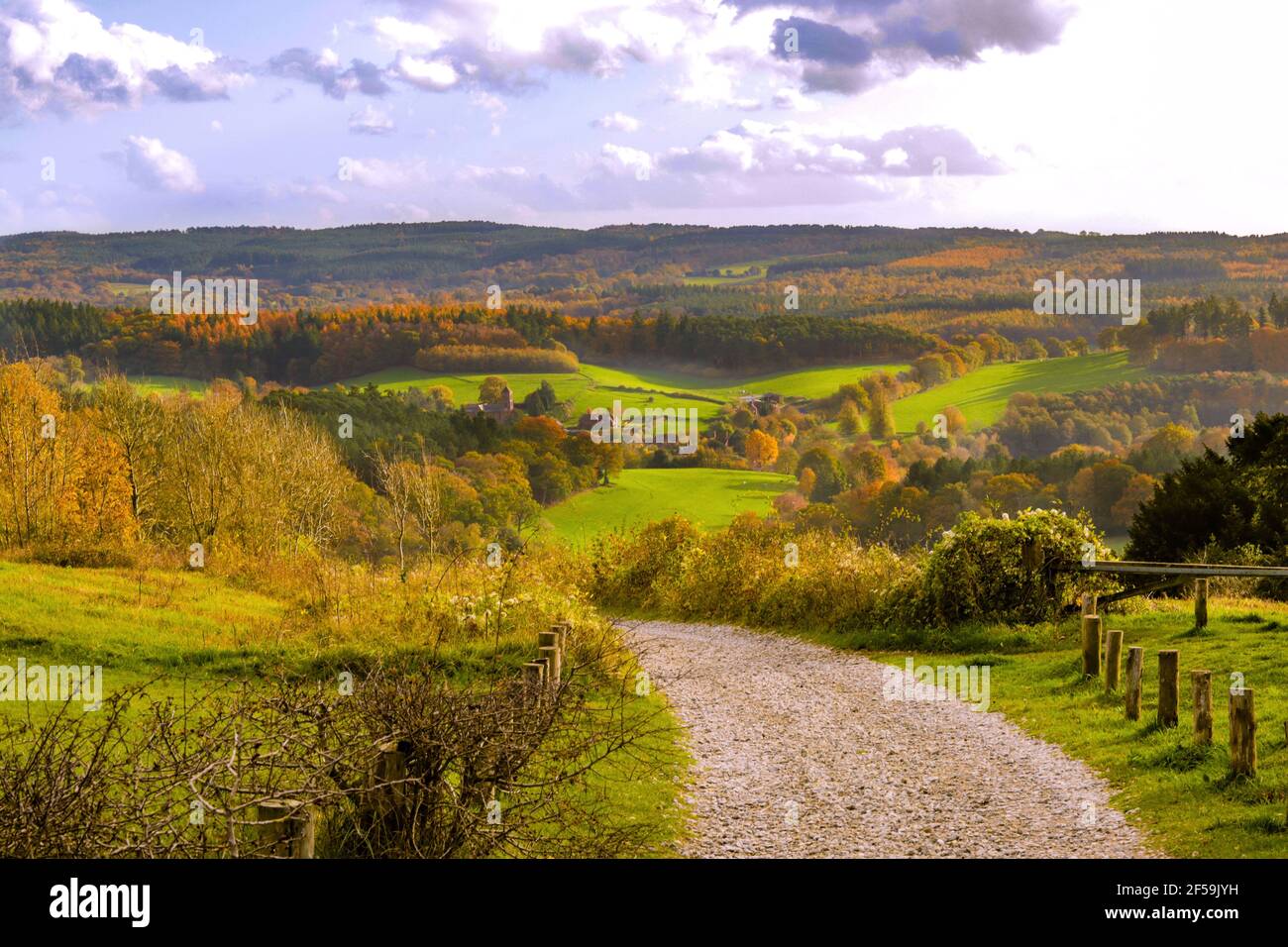 Beautiful surrey hills hi-res stock photography and images - Alamy