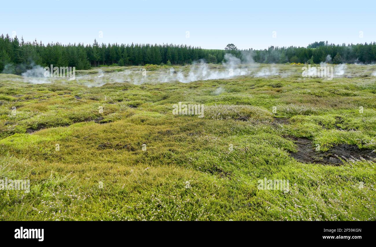 geothermal site in New Zealand named Craters of the Moon Stock Photo ...