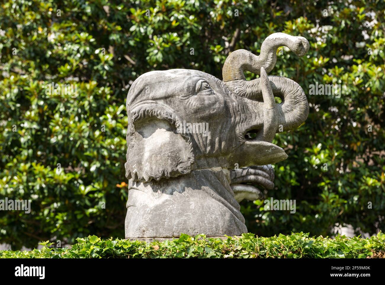 Ancient statue of elephant in baths of Diocletian (Thermae Diocletiani ...