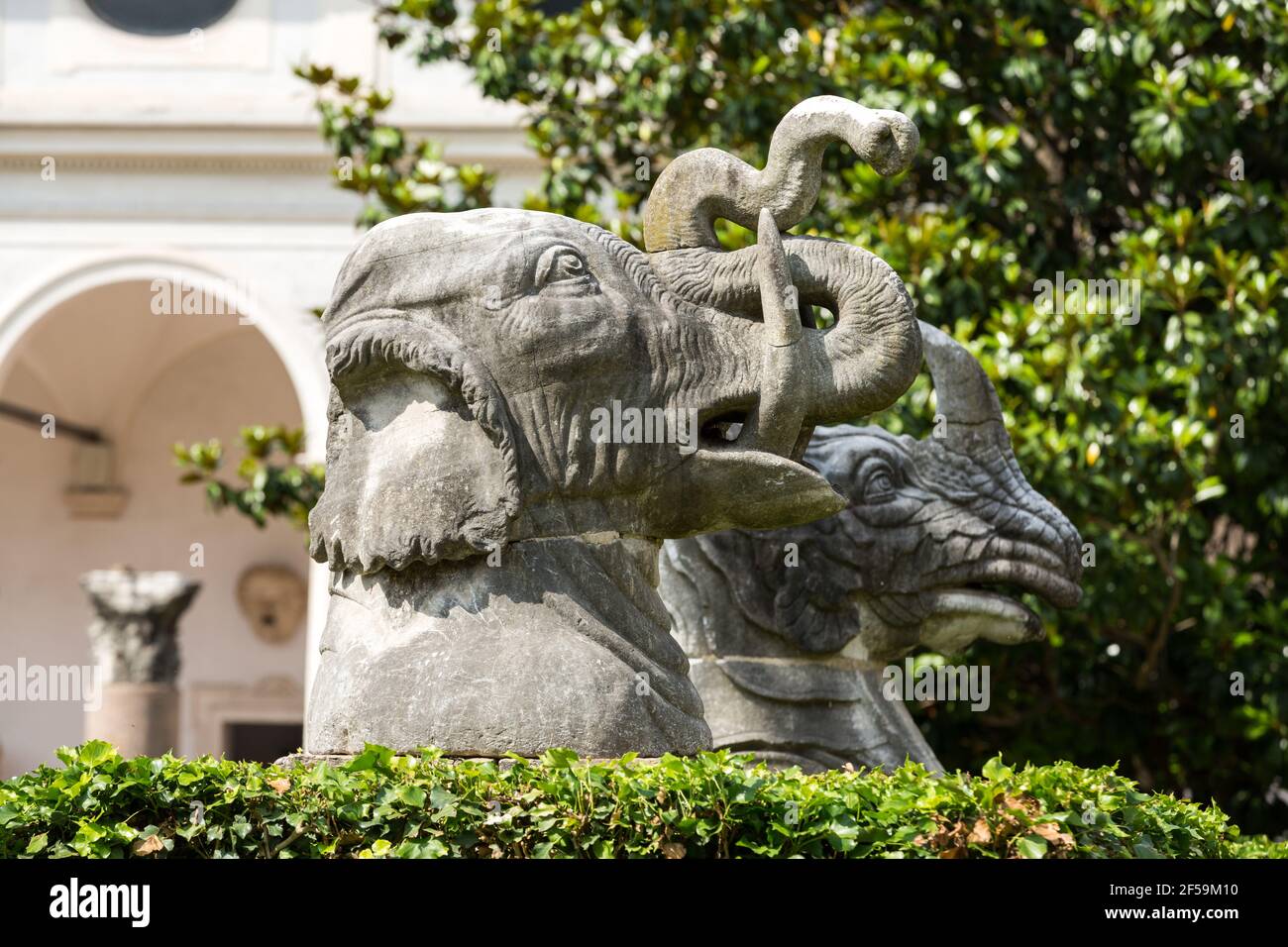 Ancient statue of elephant in baths of Diocletian (Thermae Diocletiani ...