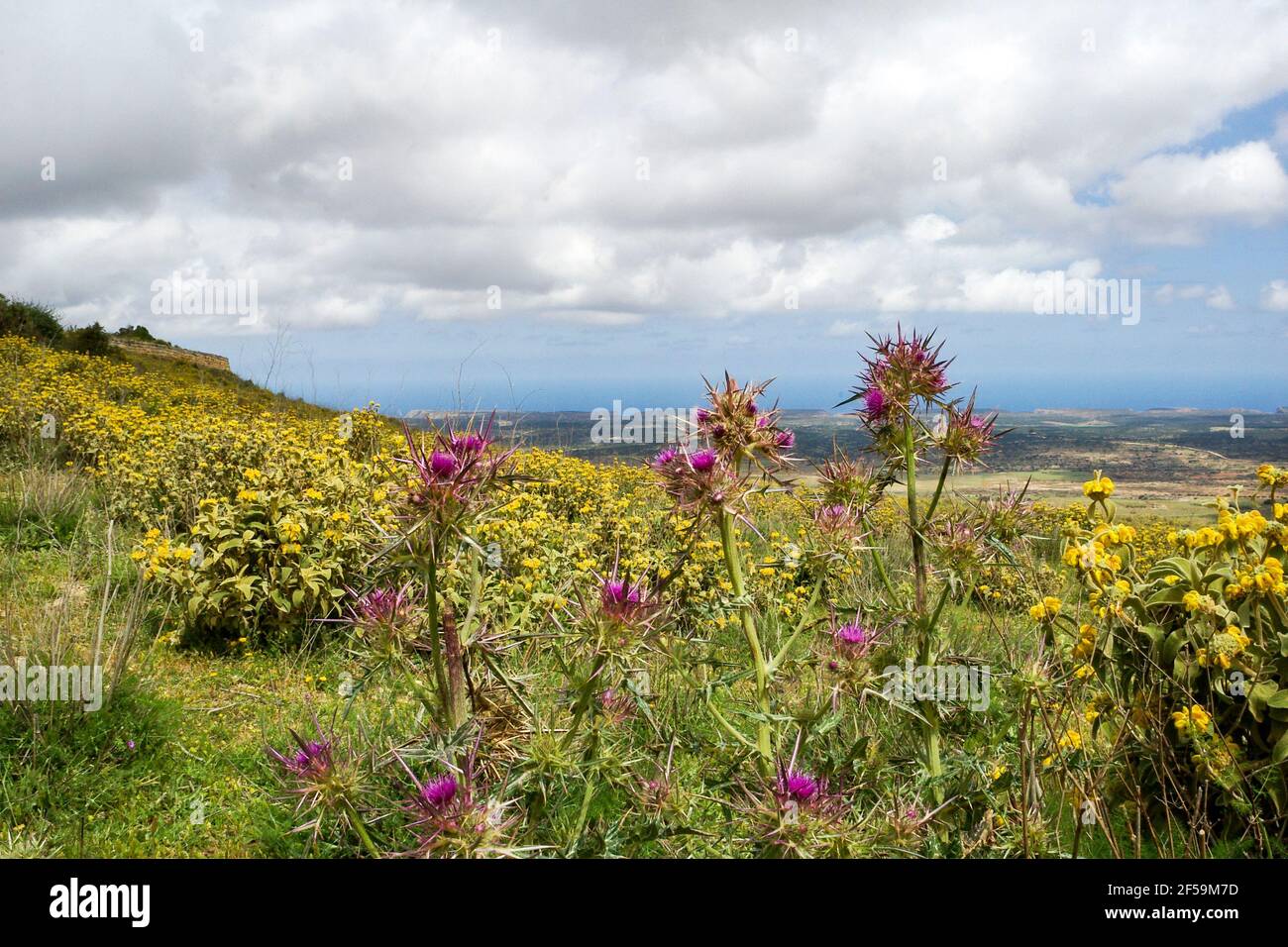 landscape, Cyrene, Libya Stock Photo - Alamy