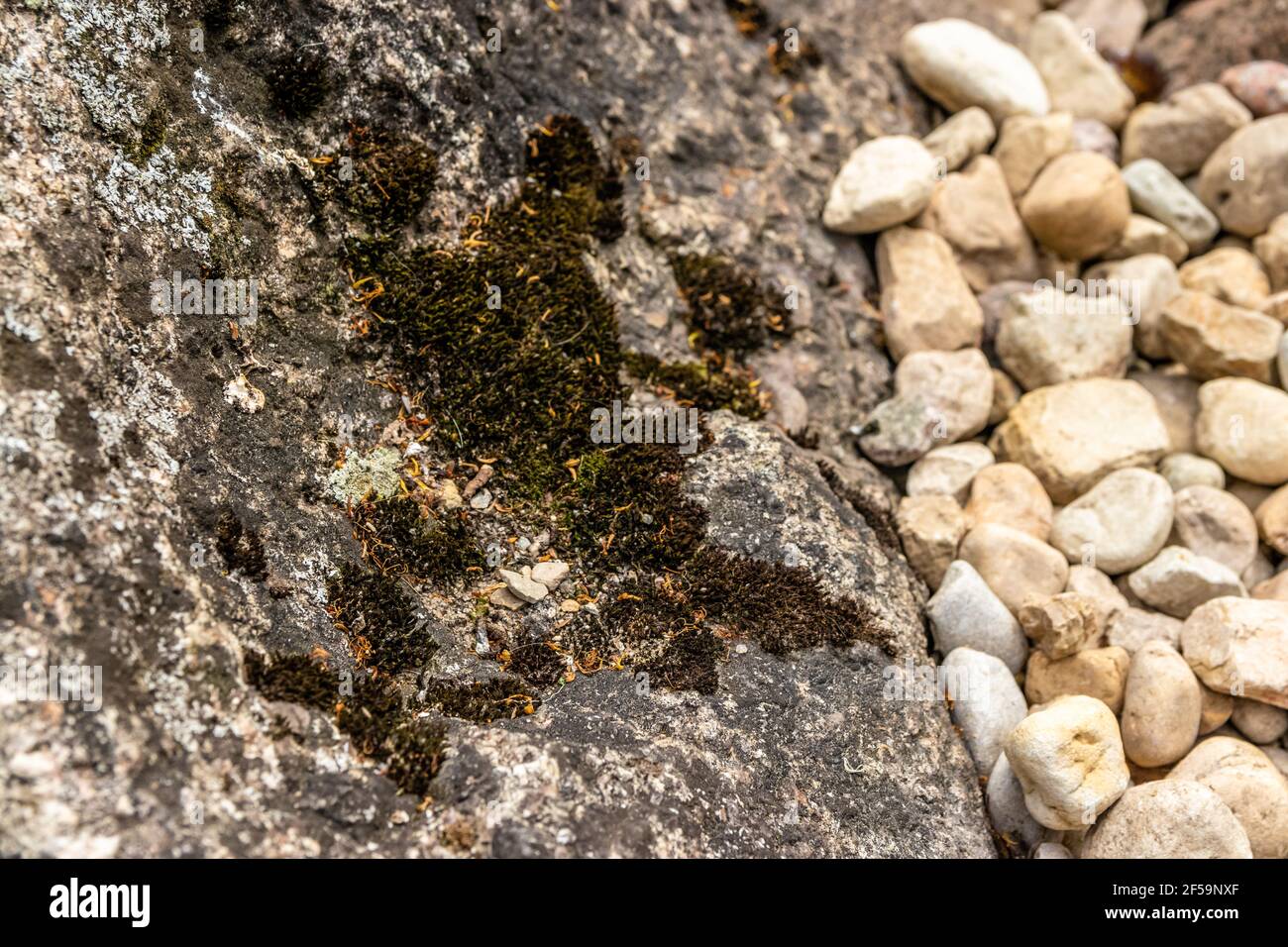 Big granite rock stone, natural in nature Stock Photo - Alamy