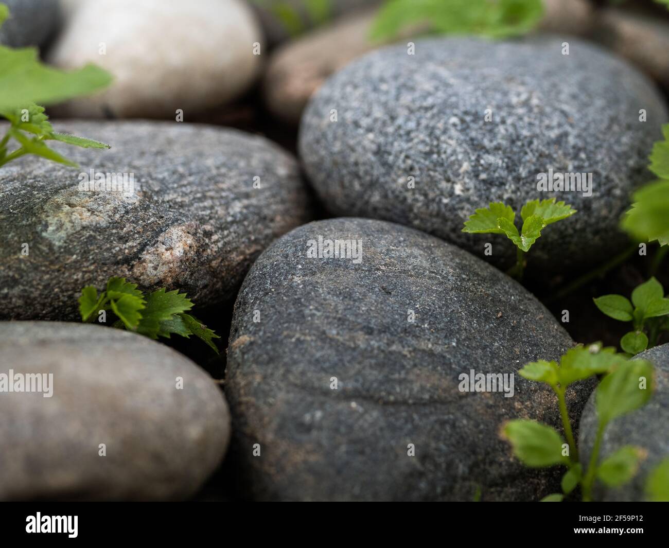 Big granite rock stone, natural in nature Stock Photo - Alamy