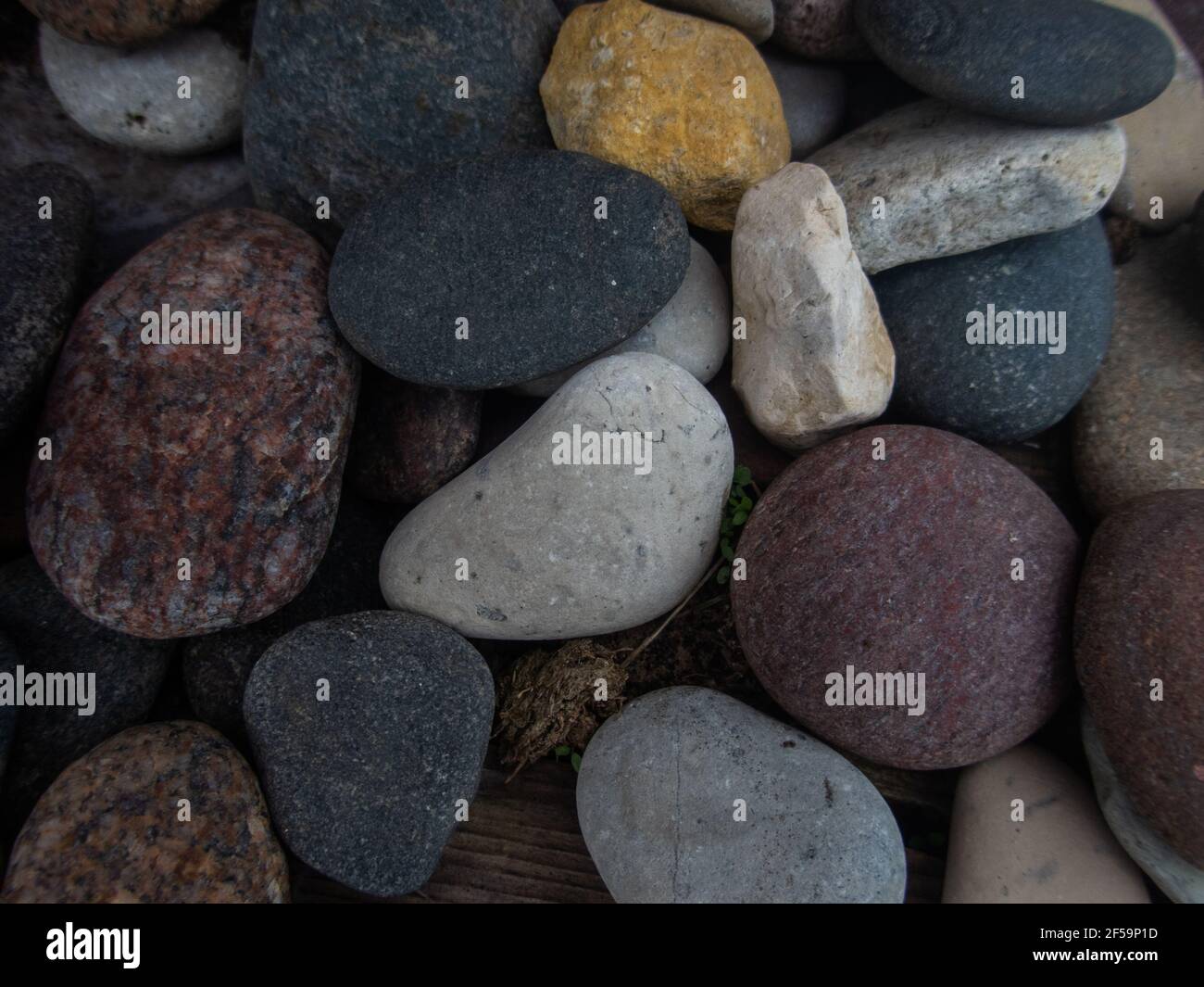 Big nature hi-res stock photography and images - Alamy